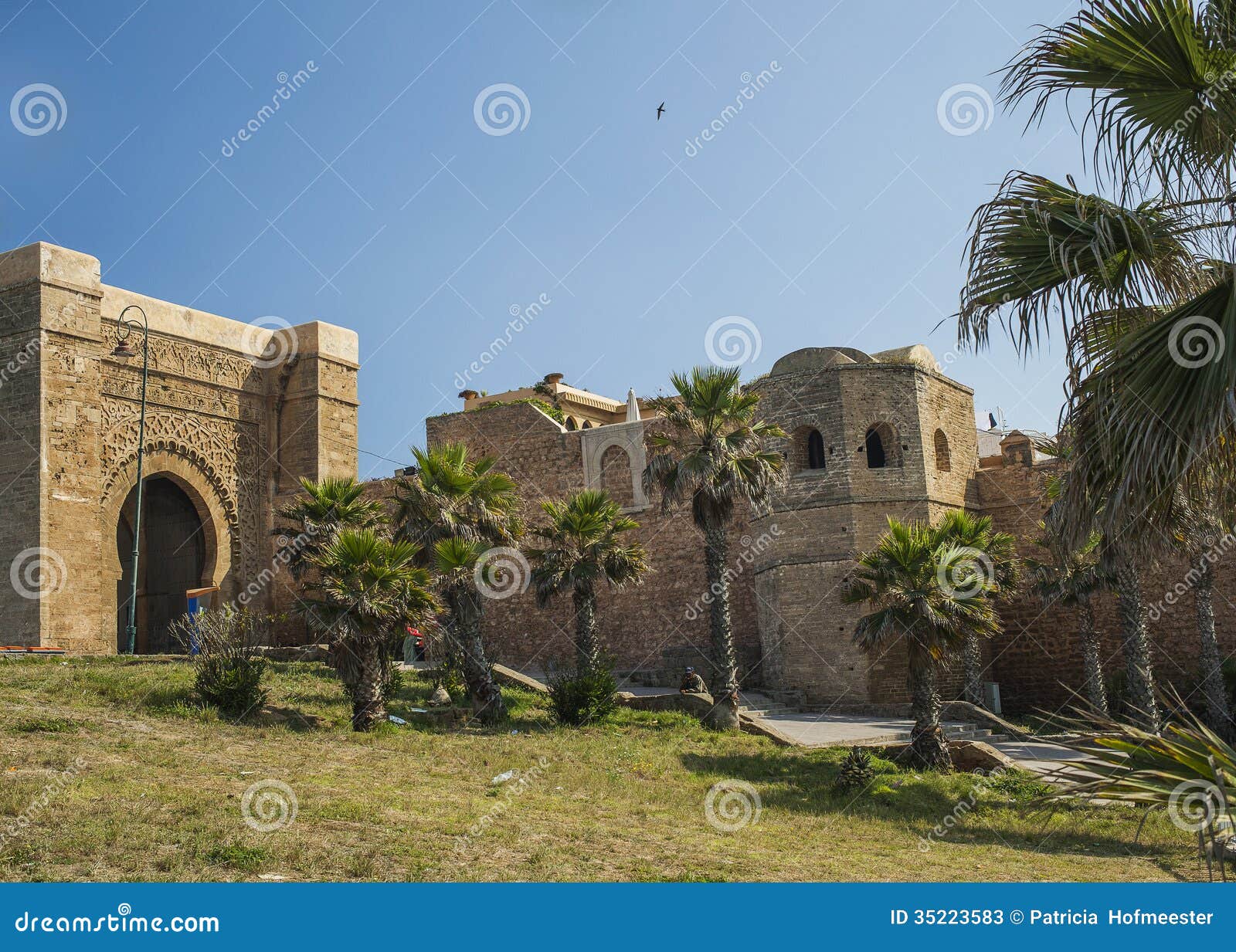 Forntida Port I Rabat, Marocko Fotografering för Bildbyråer - Bild av ...