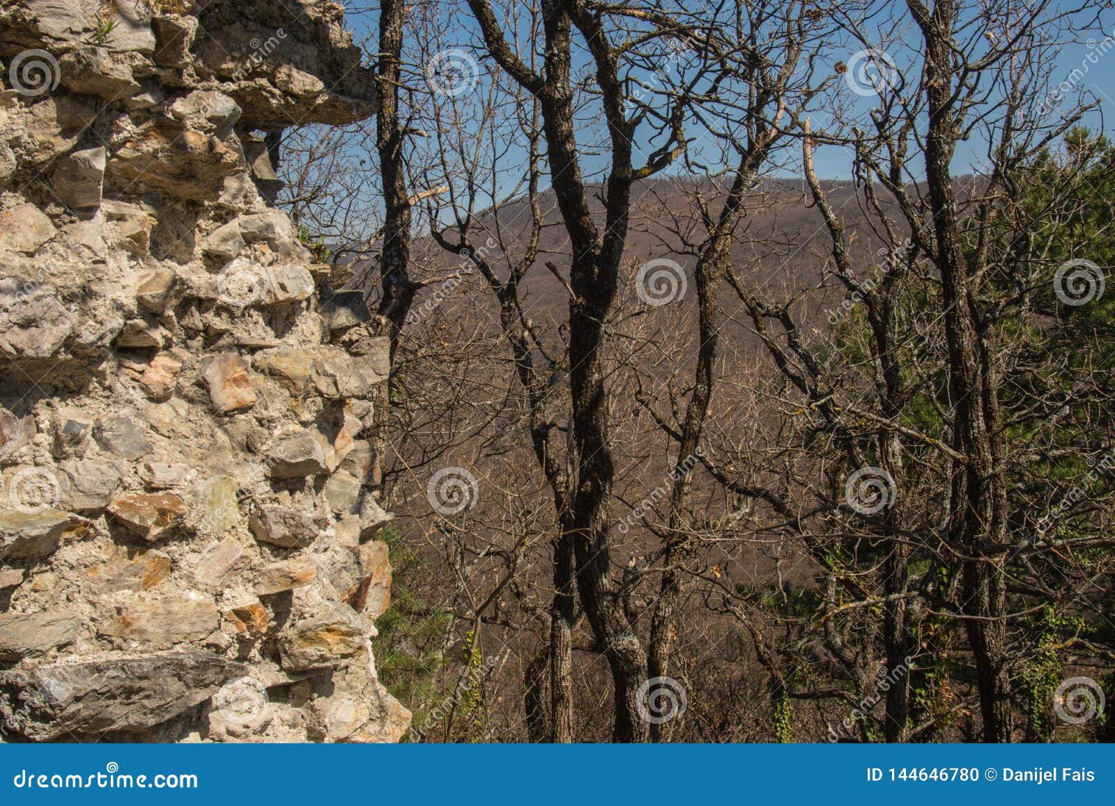 Forrest Background, with Free Leafs and Generic Scenery Stock Photo ...