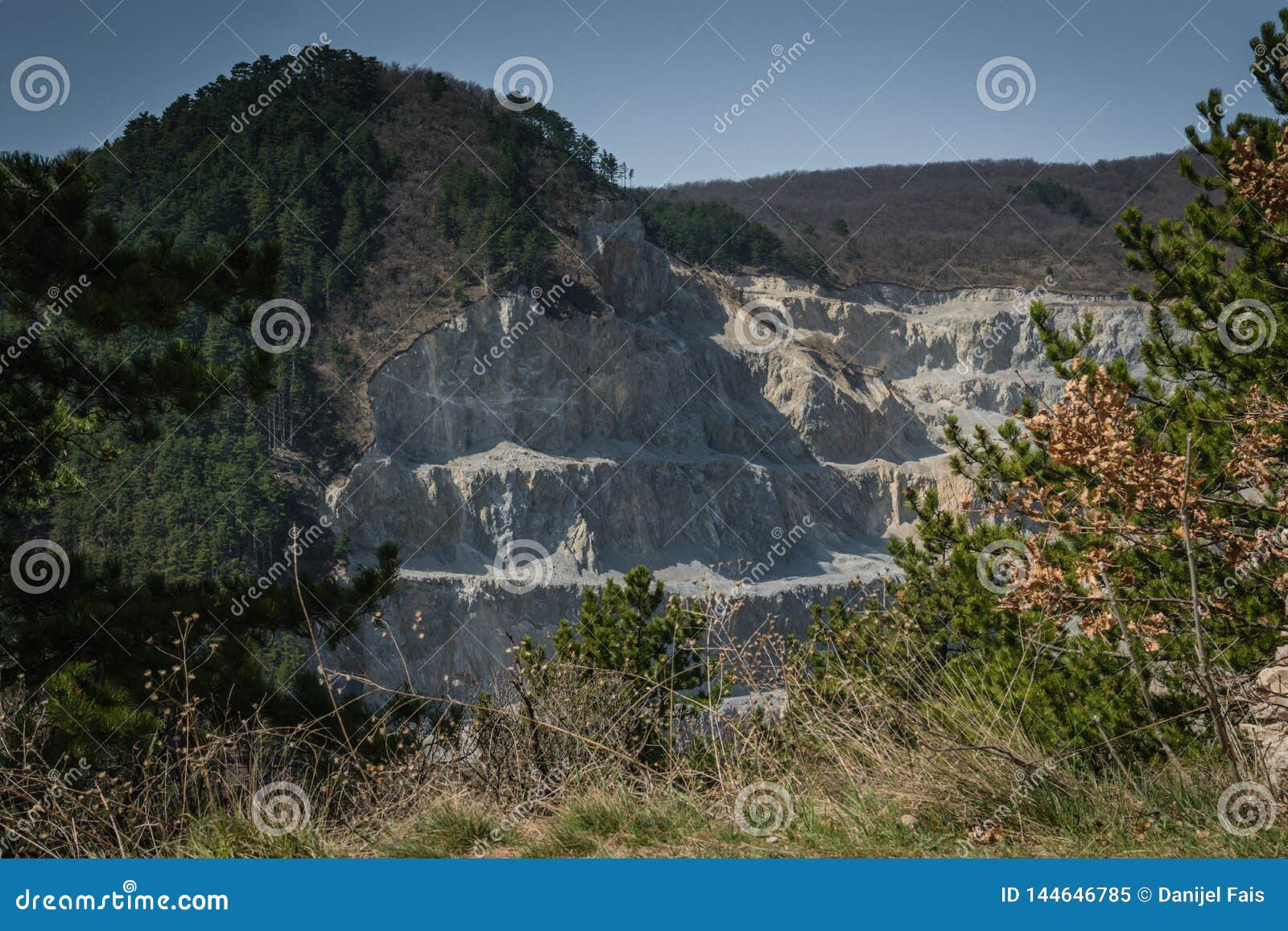 Forrest Background, with Free Leafs and Generic Scenery Stock Image ...