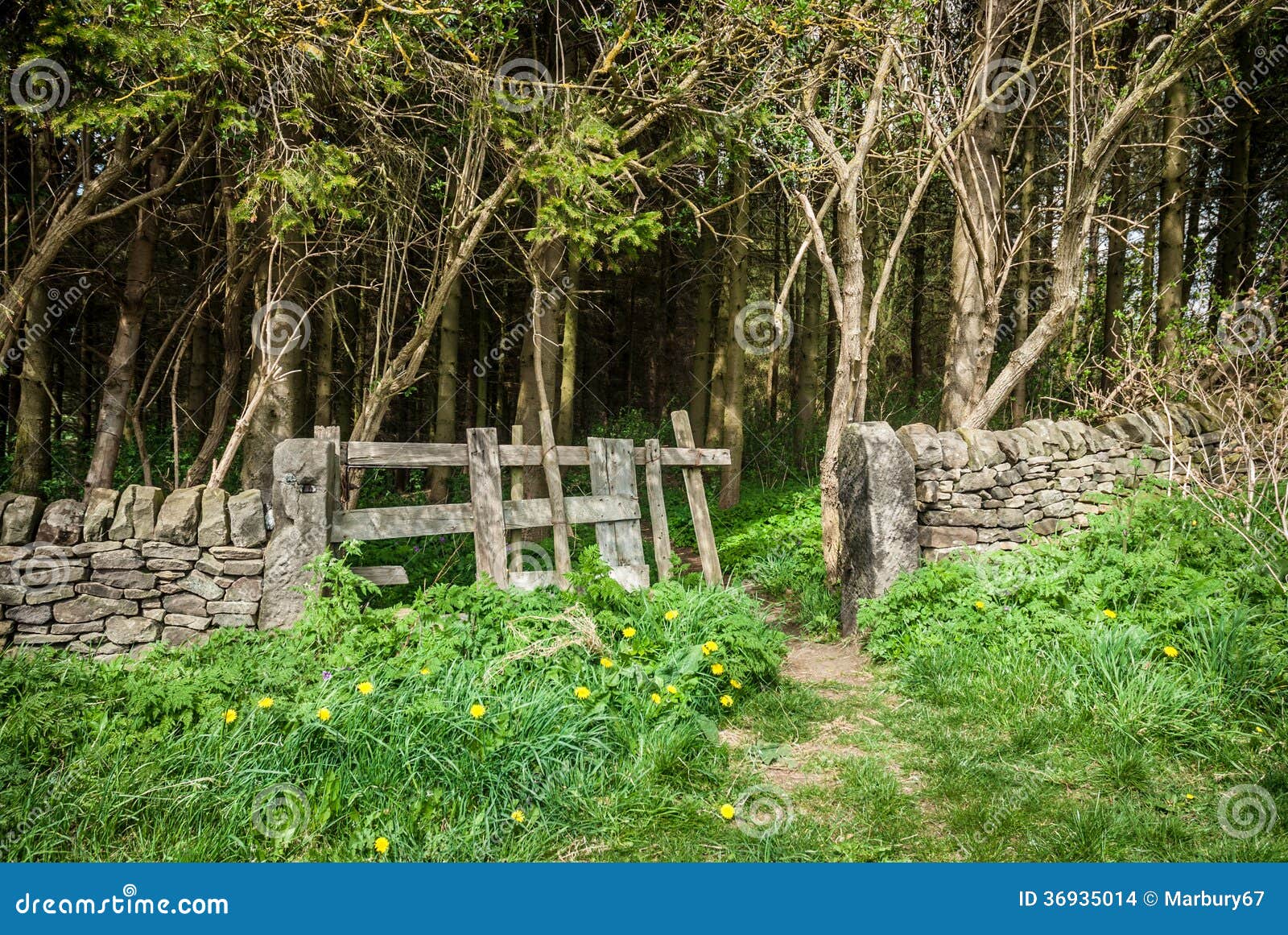 Forrest Gate stock photo. Image of gate, entrance, drystone - 36935014