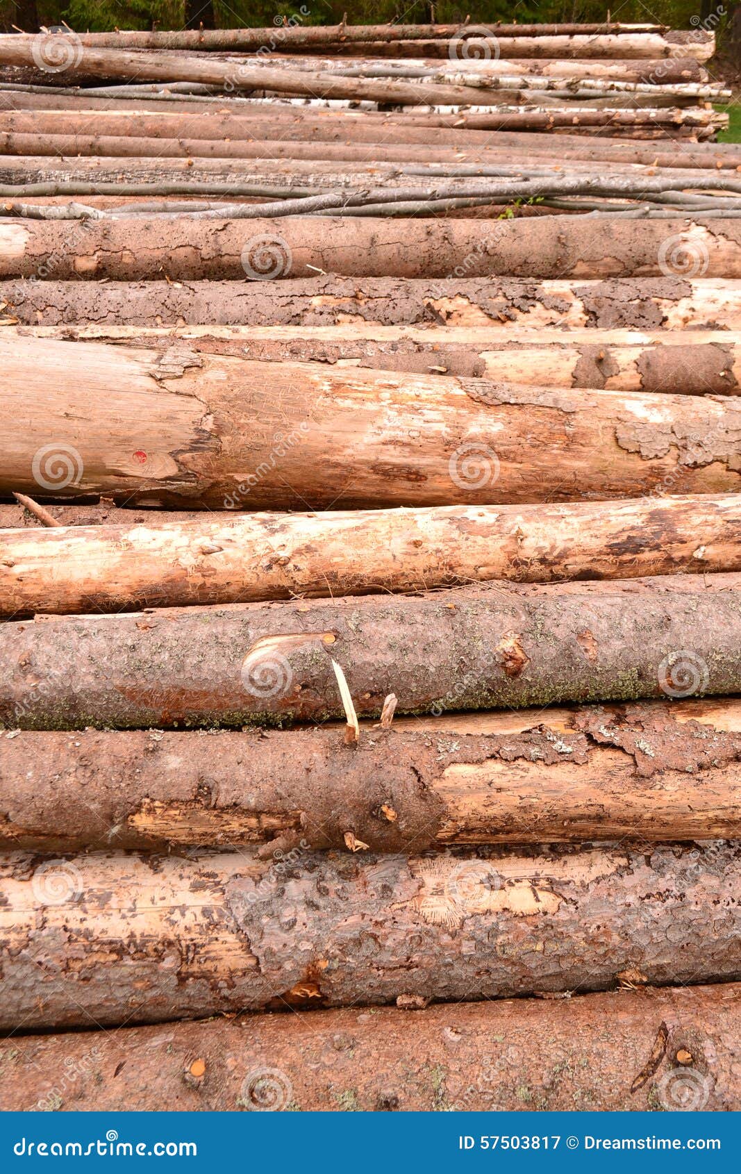 Forrest logs in mountains stock image. Image of pile - 57503817