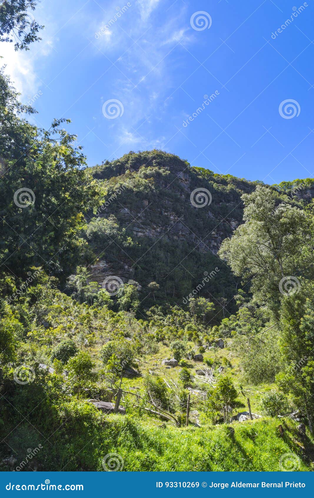 Forrest and Mountain Cliff Panorama Stock Image - Image of rock, cloud ...