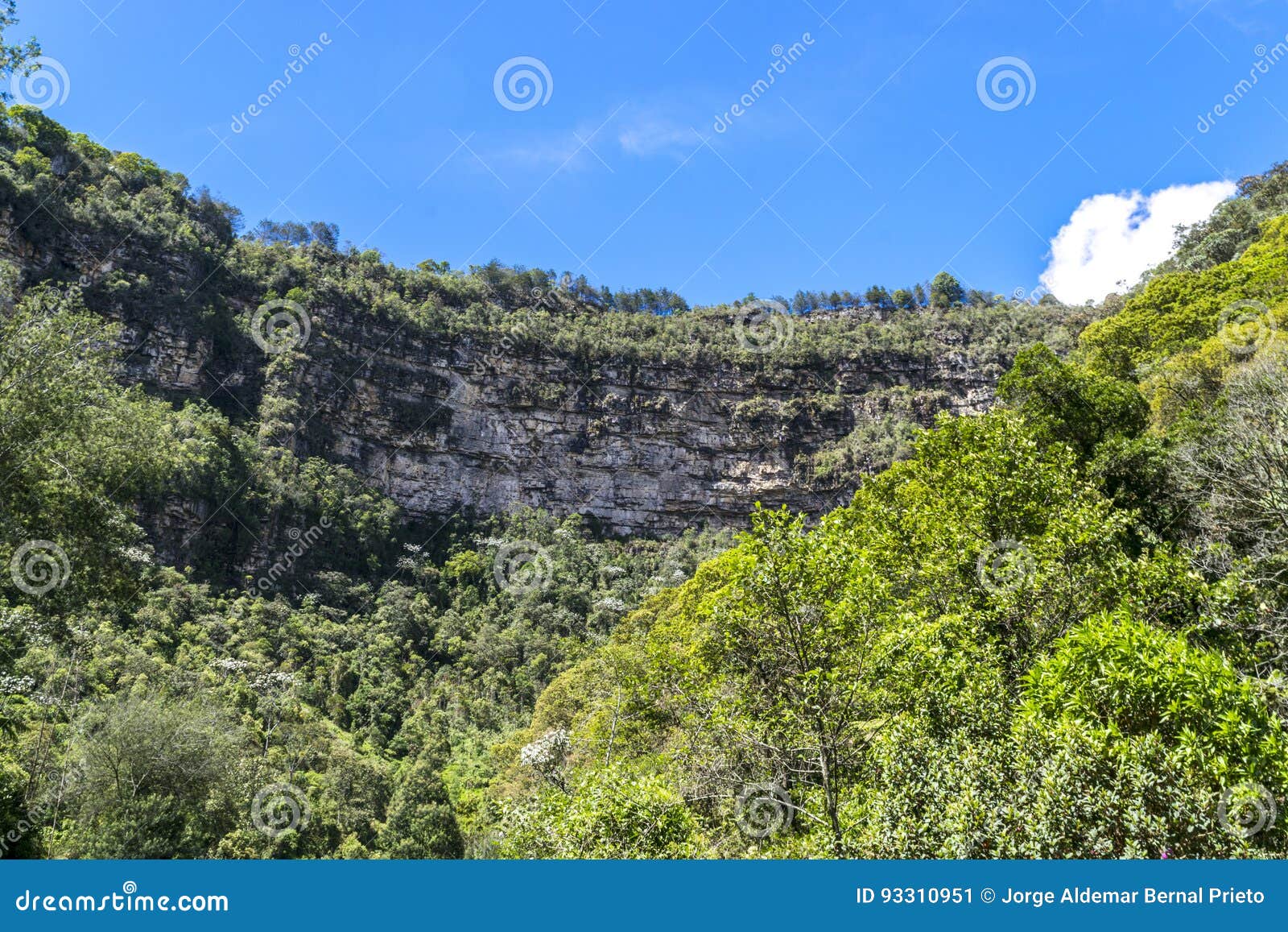 Forrest and Mountain Cliff Panorama Stock Image - Image of blue, season ...