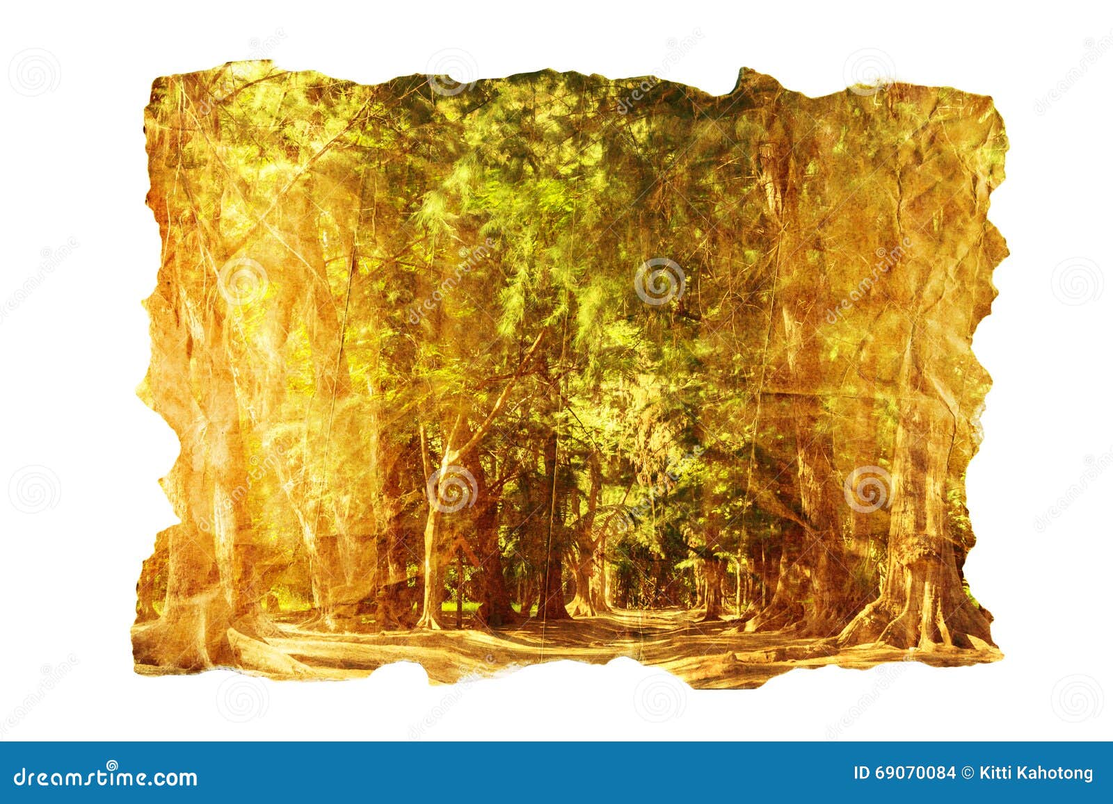 Forrest on Old Paper Texture Stock Photo - Image of blank, cardboard ...