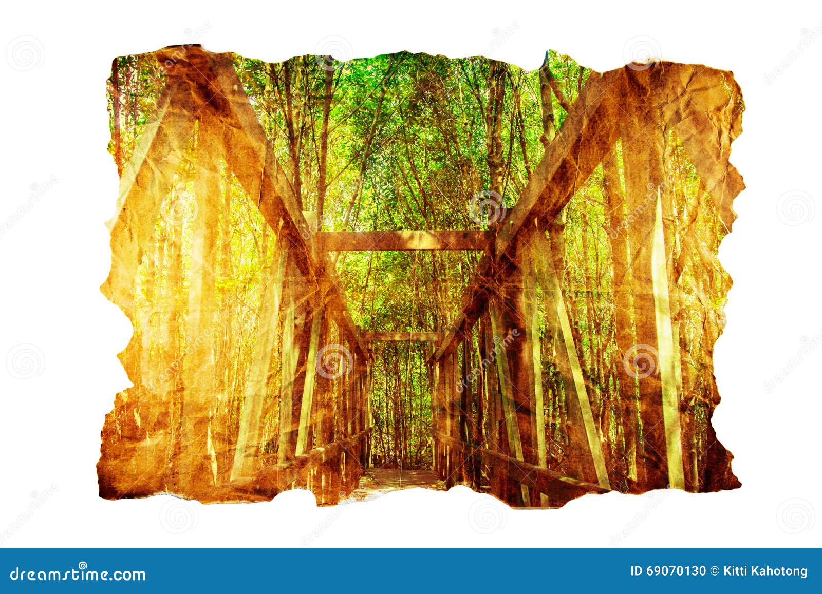 Forrest on Old Paper Texture Stock Photo - Image of blank, brown: 69070130
