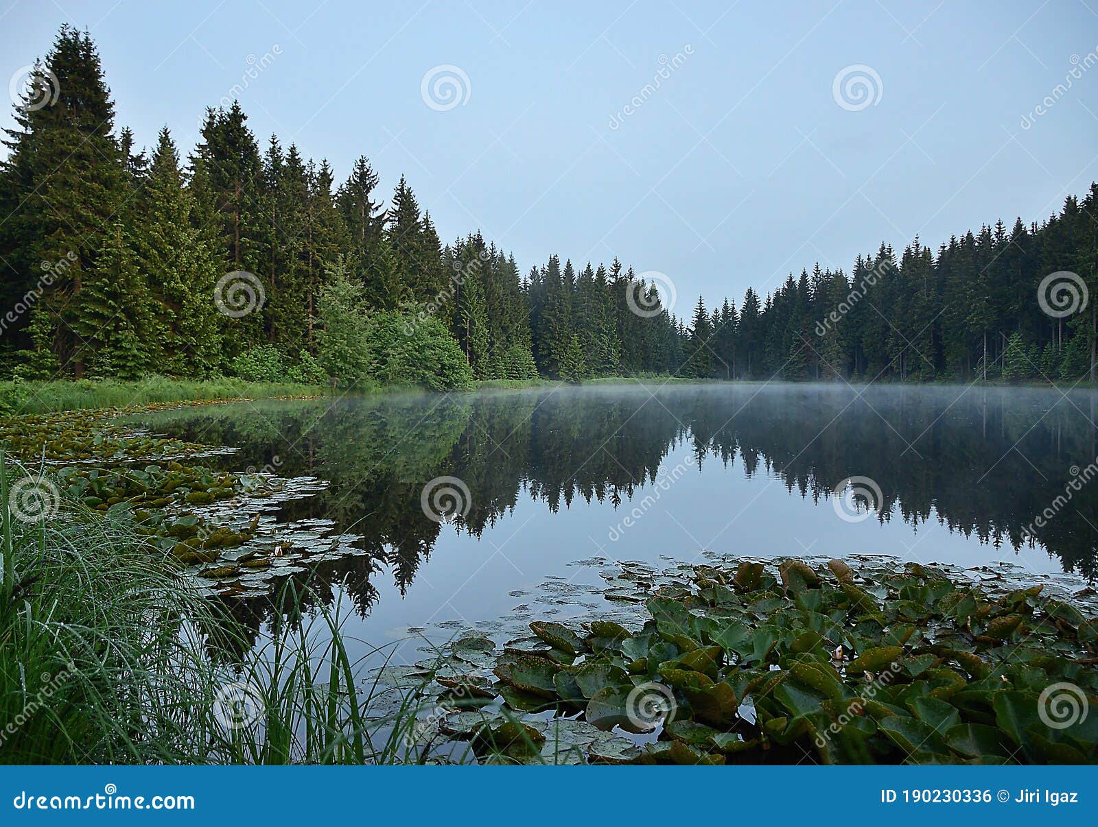 Forrest Pond in German Ore Mountains on 27th June 2020 Stock Photo ...