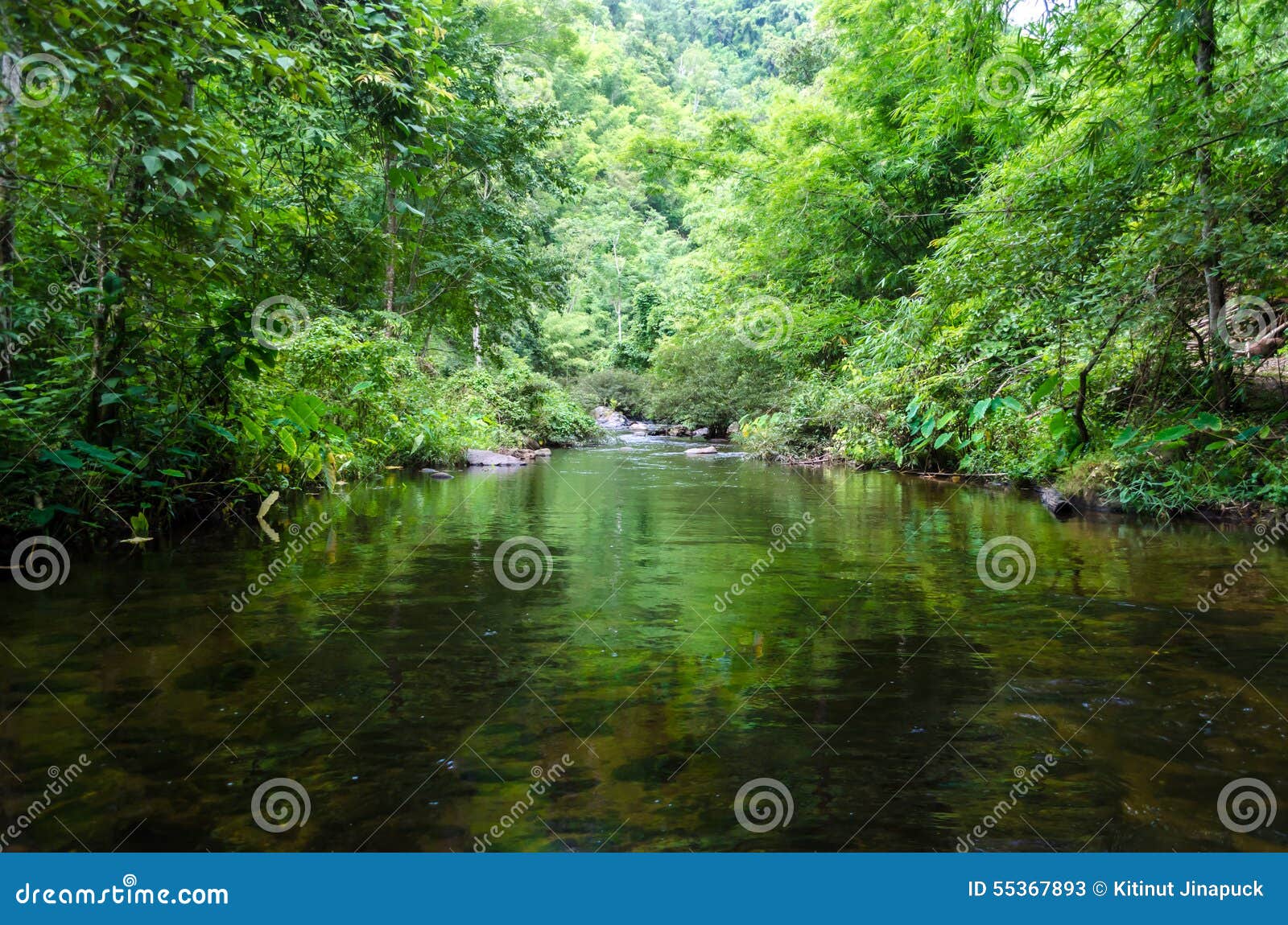 The Forrest River stock image. Image of scenery, beauty - 55367893