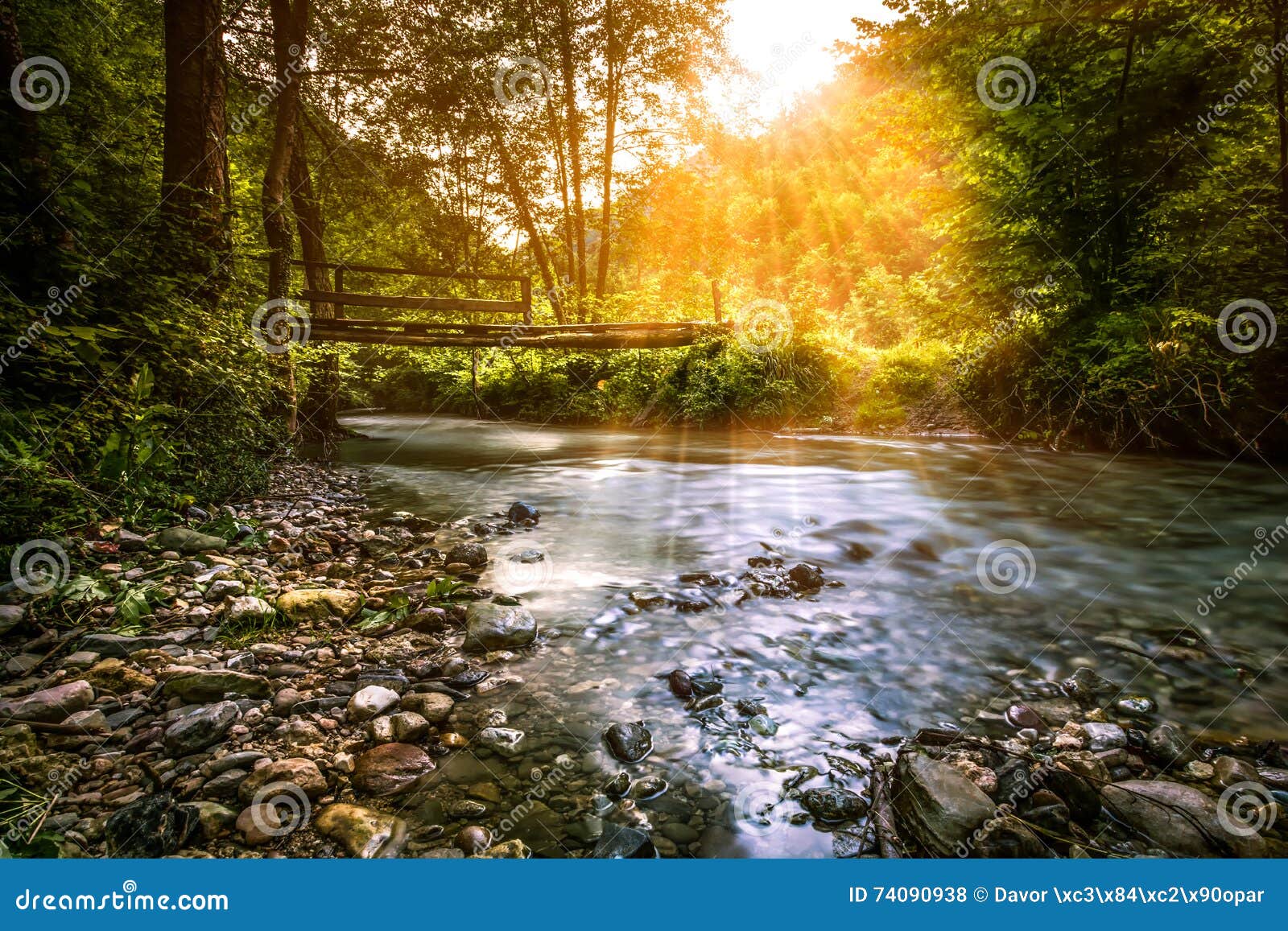 Forrest stream stock photo. Image of peaceful, freedom - 74090938