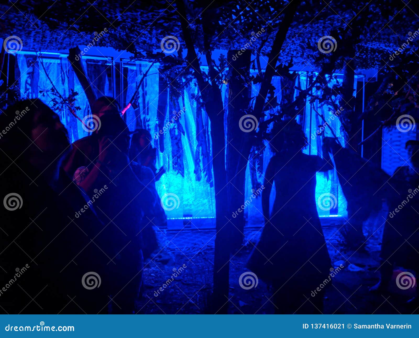 Forrest Techno Party stock image. Image of outdoors - 137416021