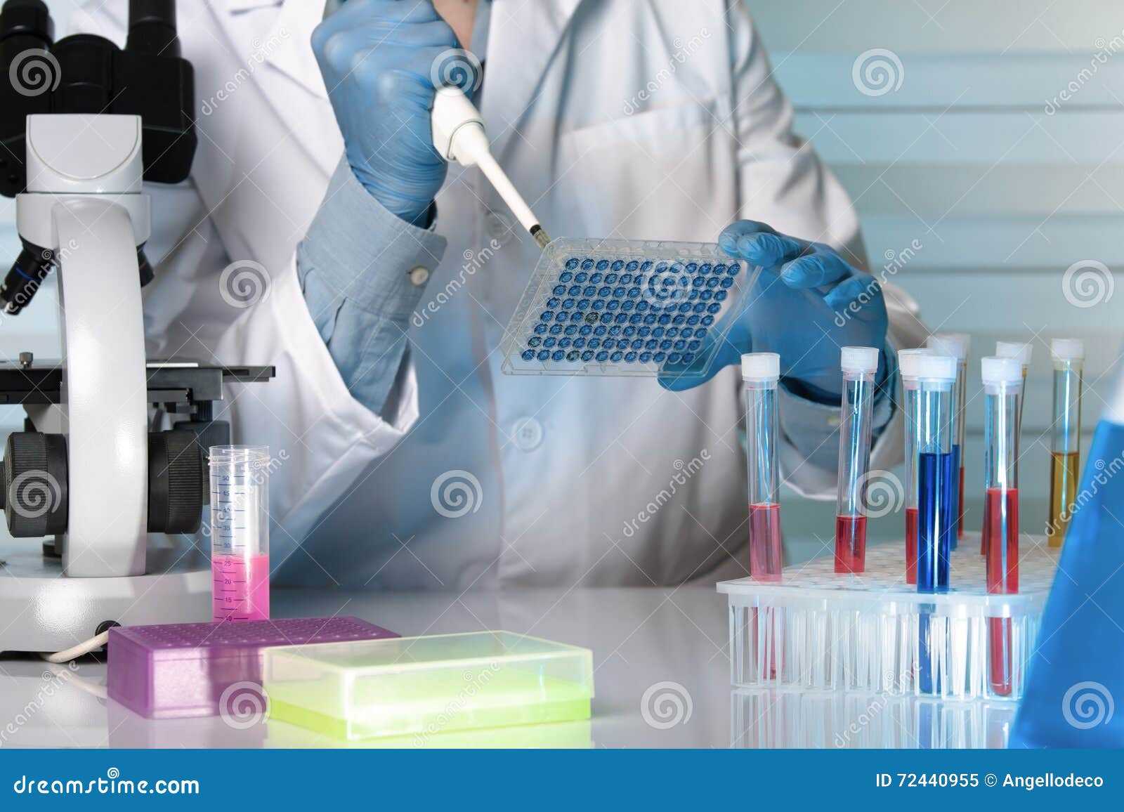 Forscher, Der Proben in Den Microplates Im Labor Pipettiert Stockbild ...