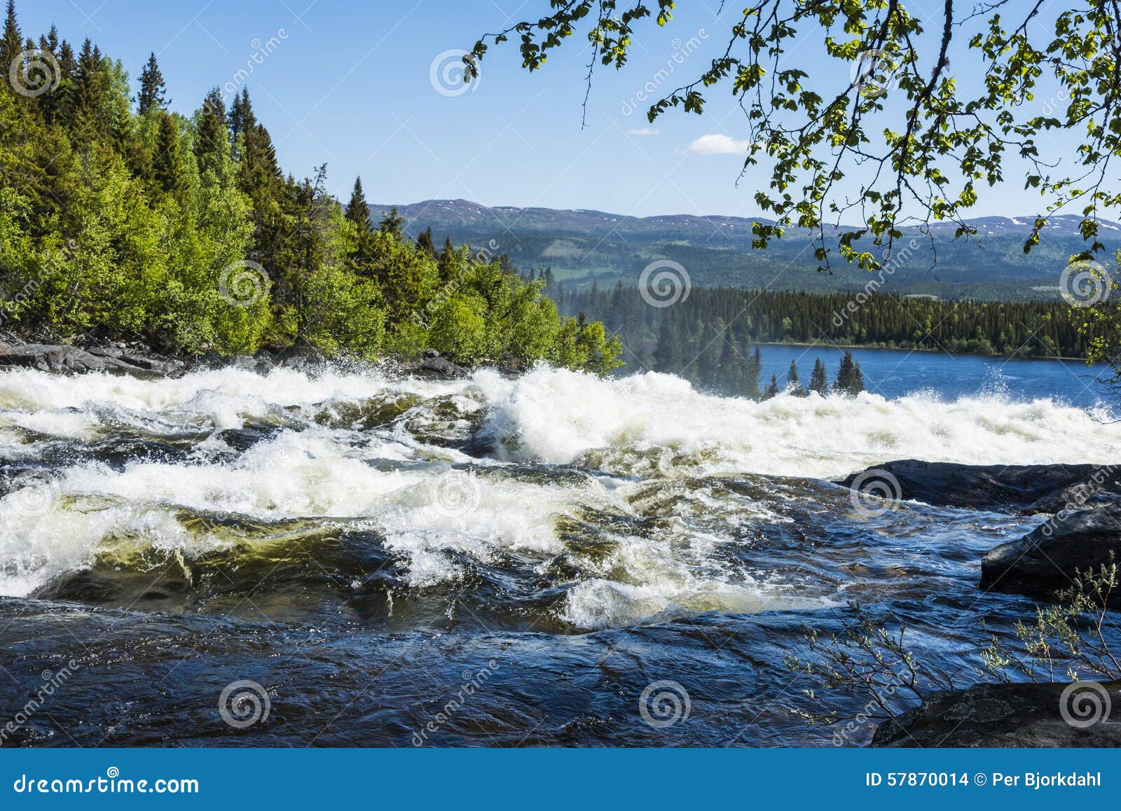 ForsTannforsen Vattenfall Sverige Arkivfoto - Bild av vitvatten, svett ...