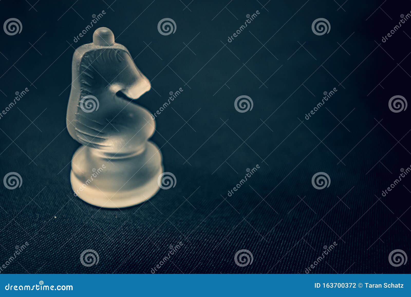 Glass Knight Chess Pieces Stock Image | CartoonDealer.com #230053