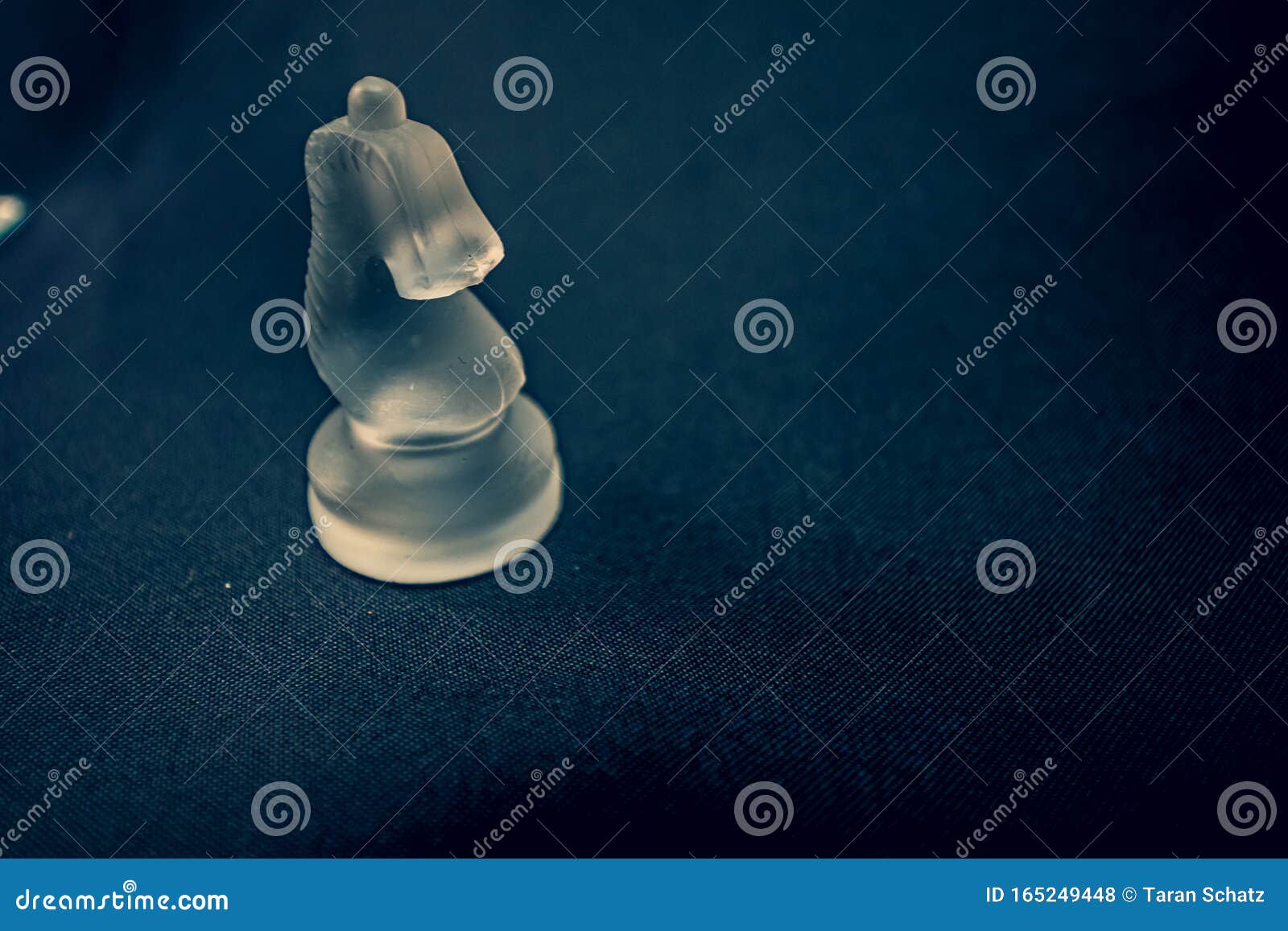 Glass Knight Chess Pieces Stock Image | CartoonDealer.com #230053