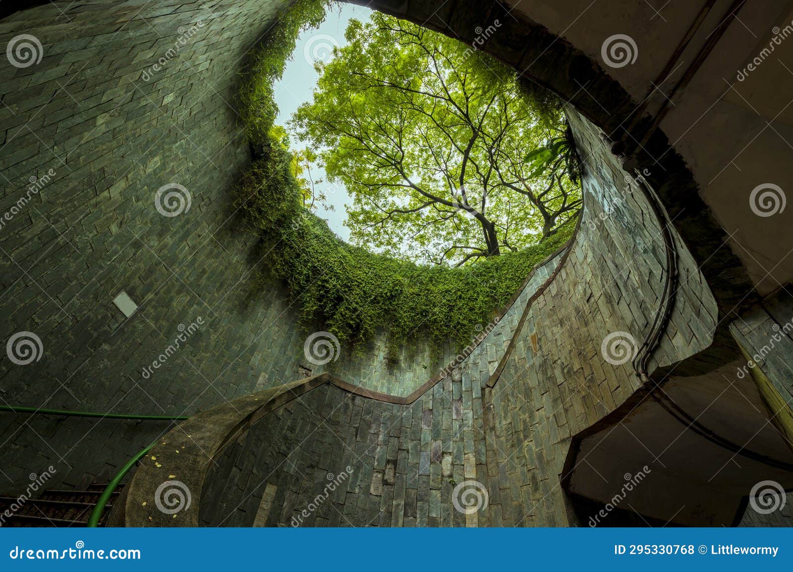 Fort Canning Tree Tunnel in Singapore Stock Photo - Image of tunnel ...