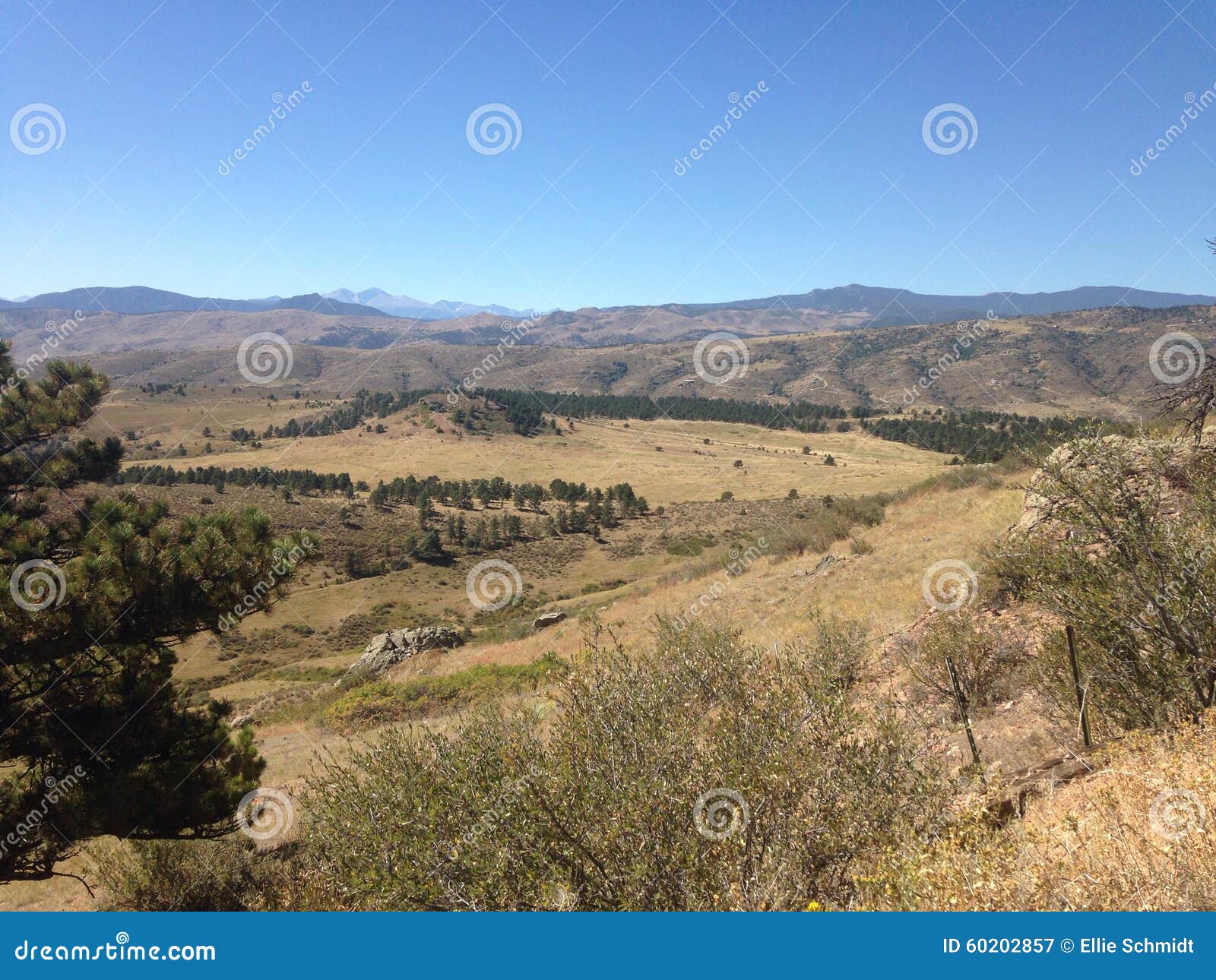 Fort Collins, CO stock image. Image of desert, collins - 60202857