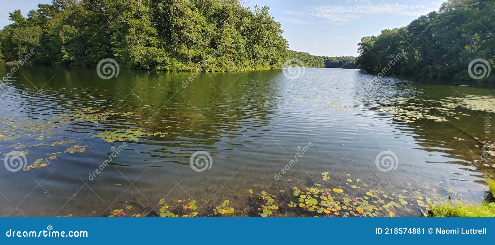 Fort Custer State Park stock image. Image of tree, river - 218574881