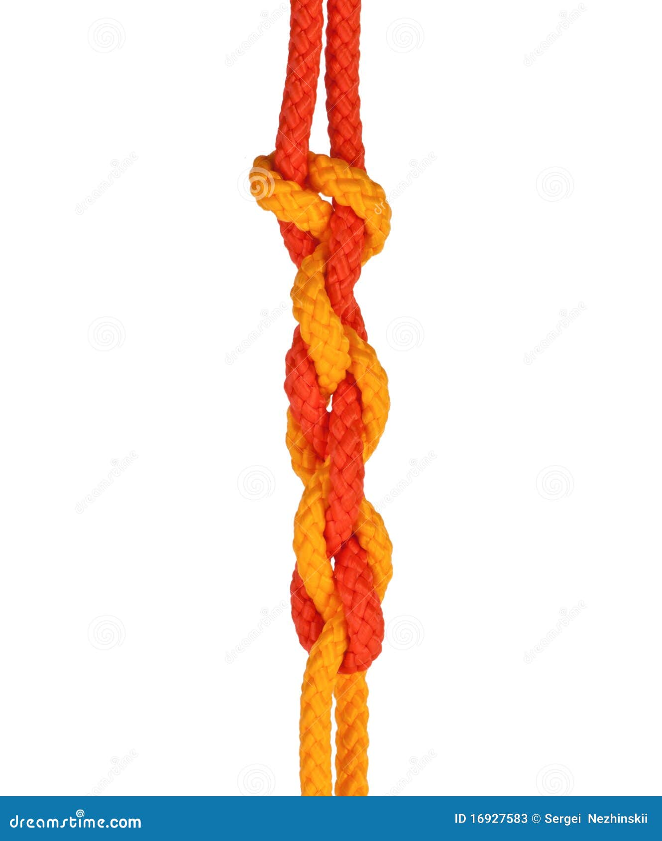 Forte nodo immagine stock. Immagine di isolato, nodo - 16927583