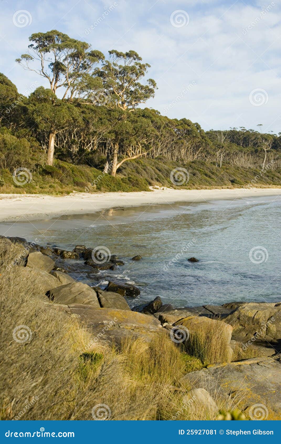 Fortescue Bay stock image. Image of calm, sheltered, water - 25927081