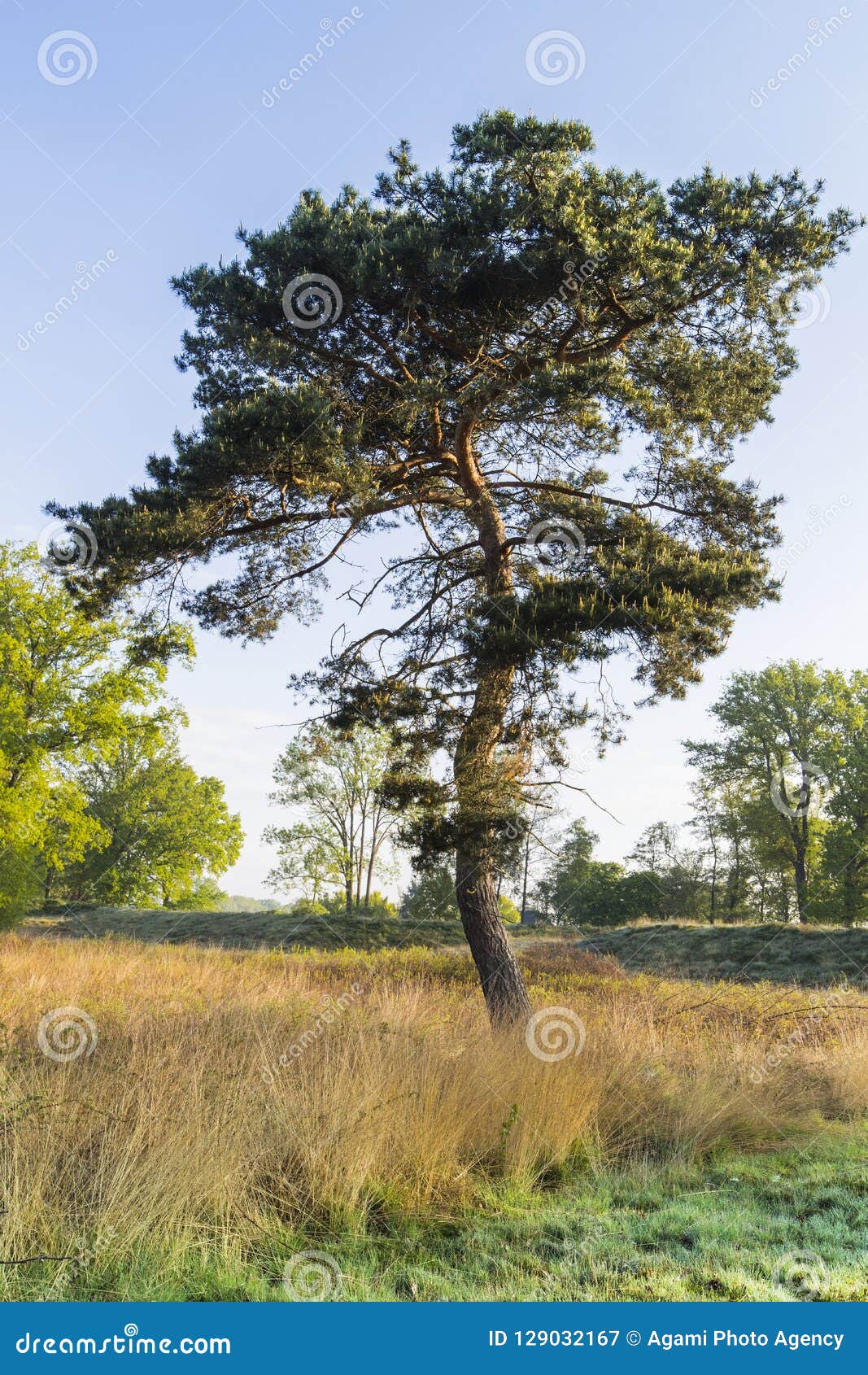 Fortificatie Daatselaar, Fortification Daatselaar Image stock - Image ...