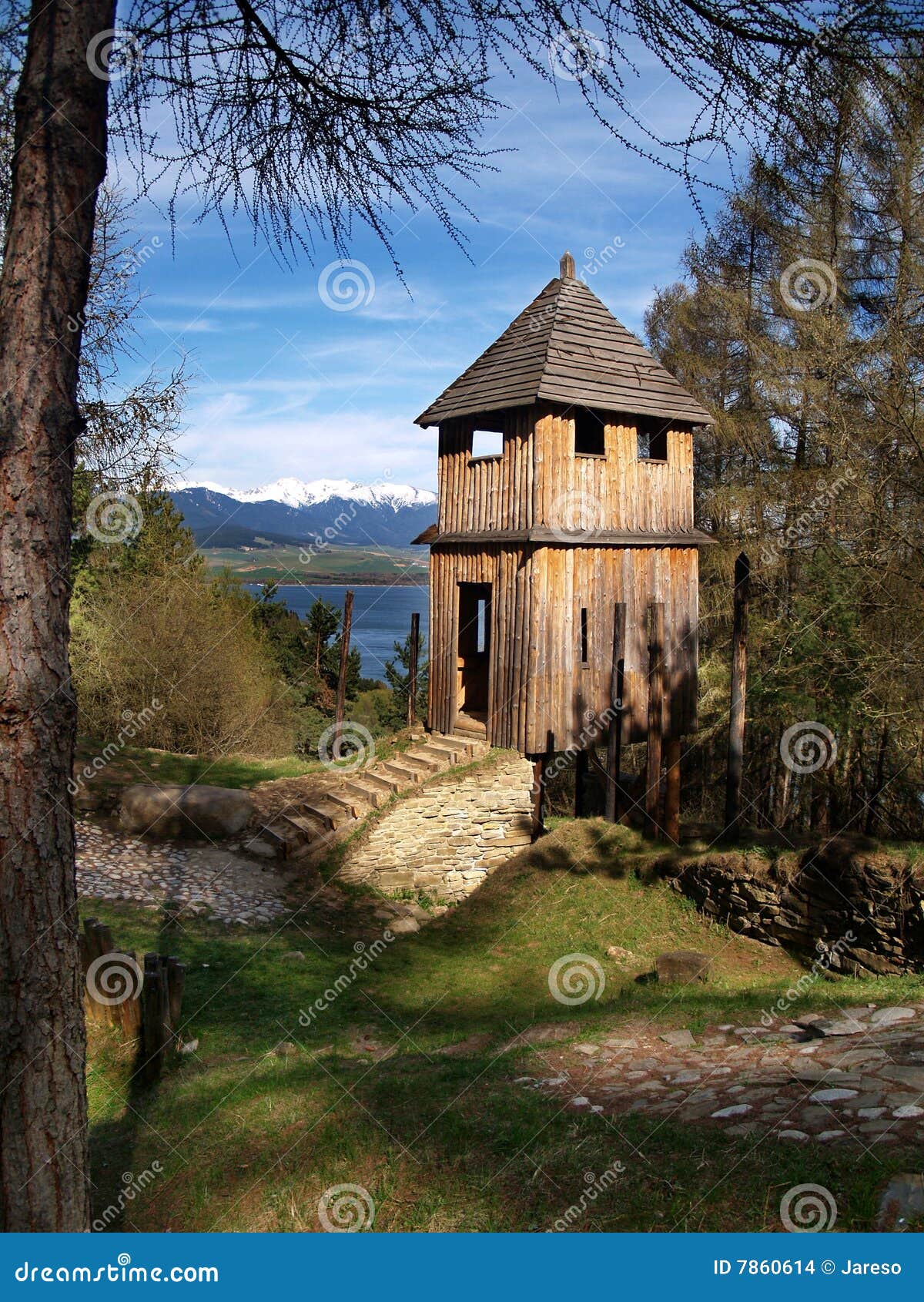 Fortification De Madeira Antigo Foto de Stock - Imagem de forte ...