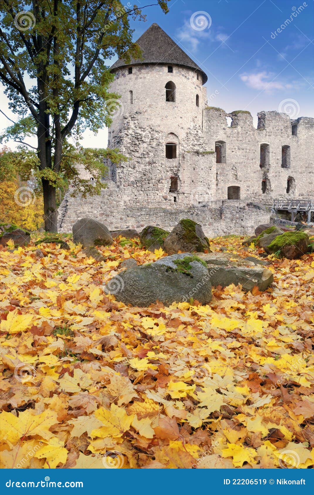 The fortress. stock image. Image of foliage, historic - 22206519
