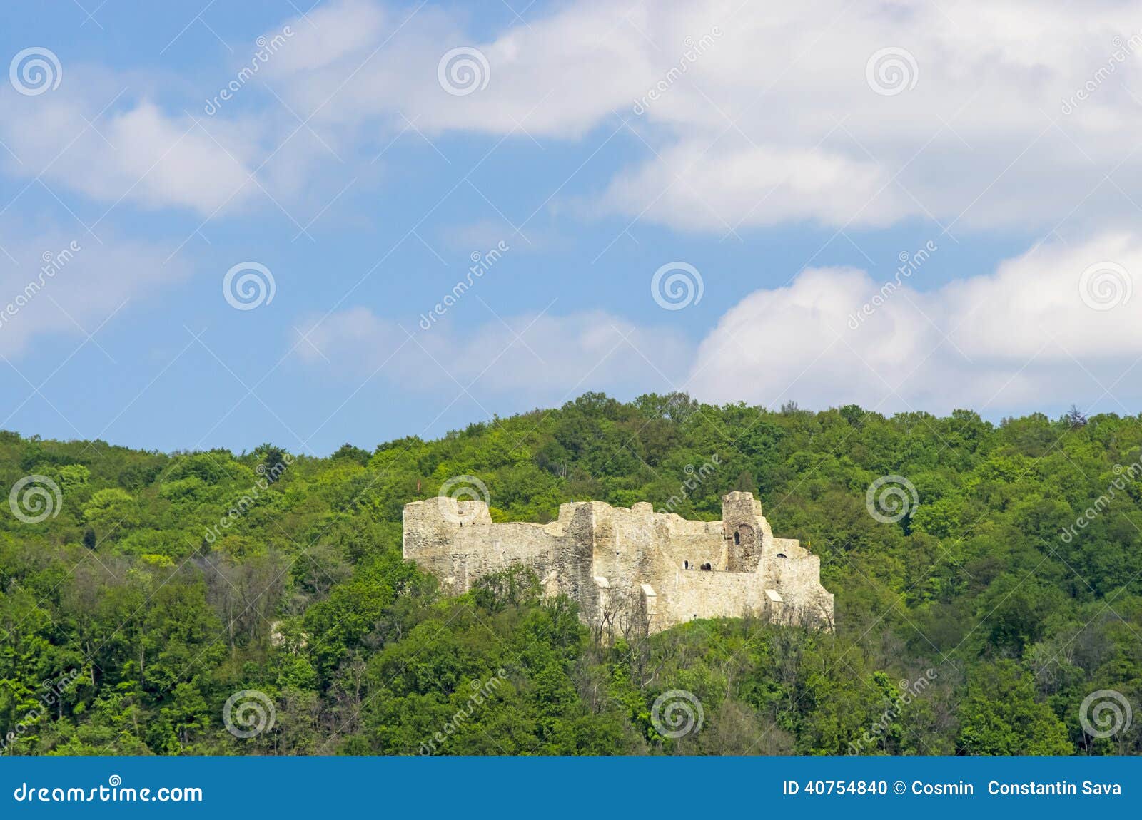 Fortress in forest stock photo. Image of famous, fortress - 40754840
