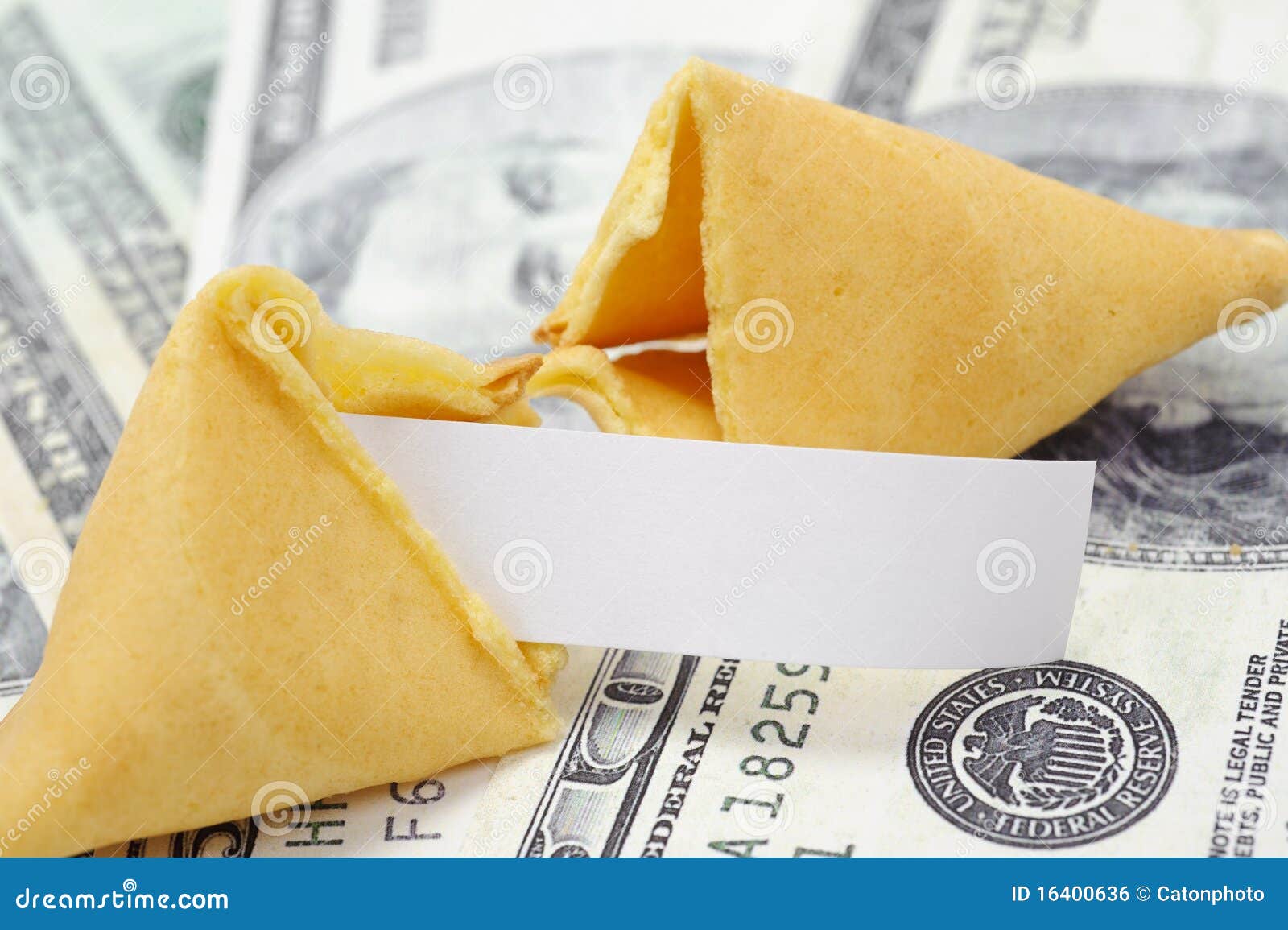 Fortune cookie with money stock photo. Image of isolated - 16400636