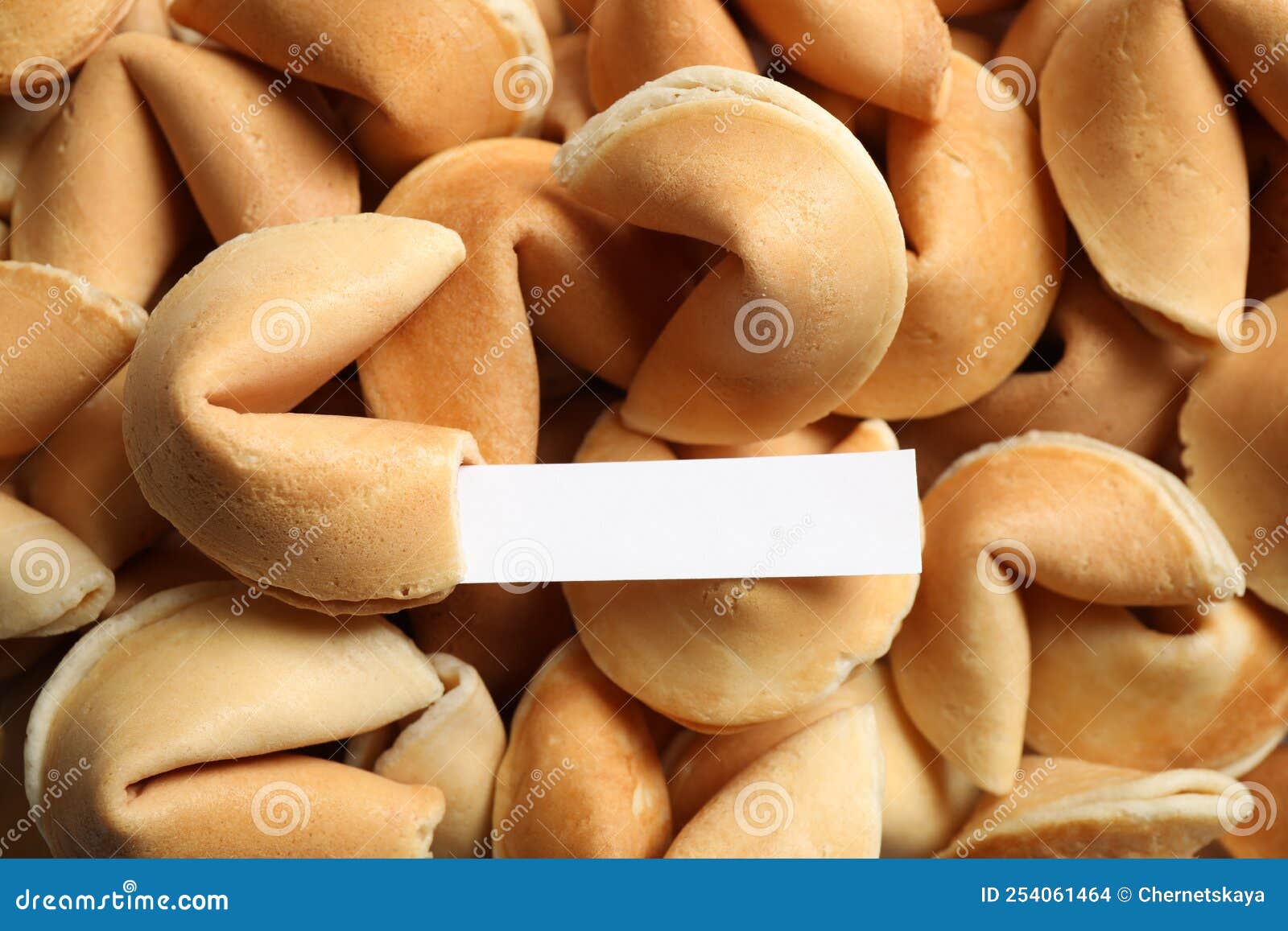Fortune Cookie with Prediction on Pile of Biscuits, Closeup Stock Photo ...