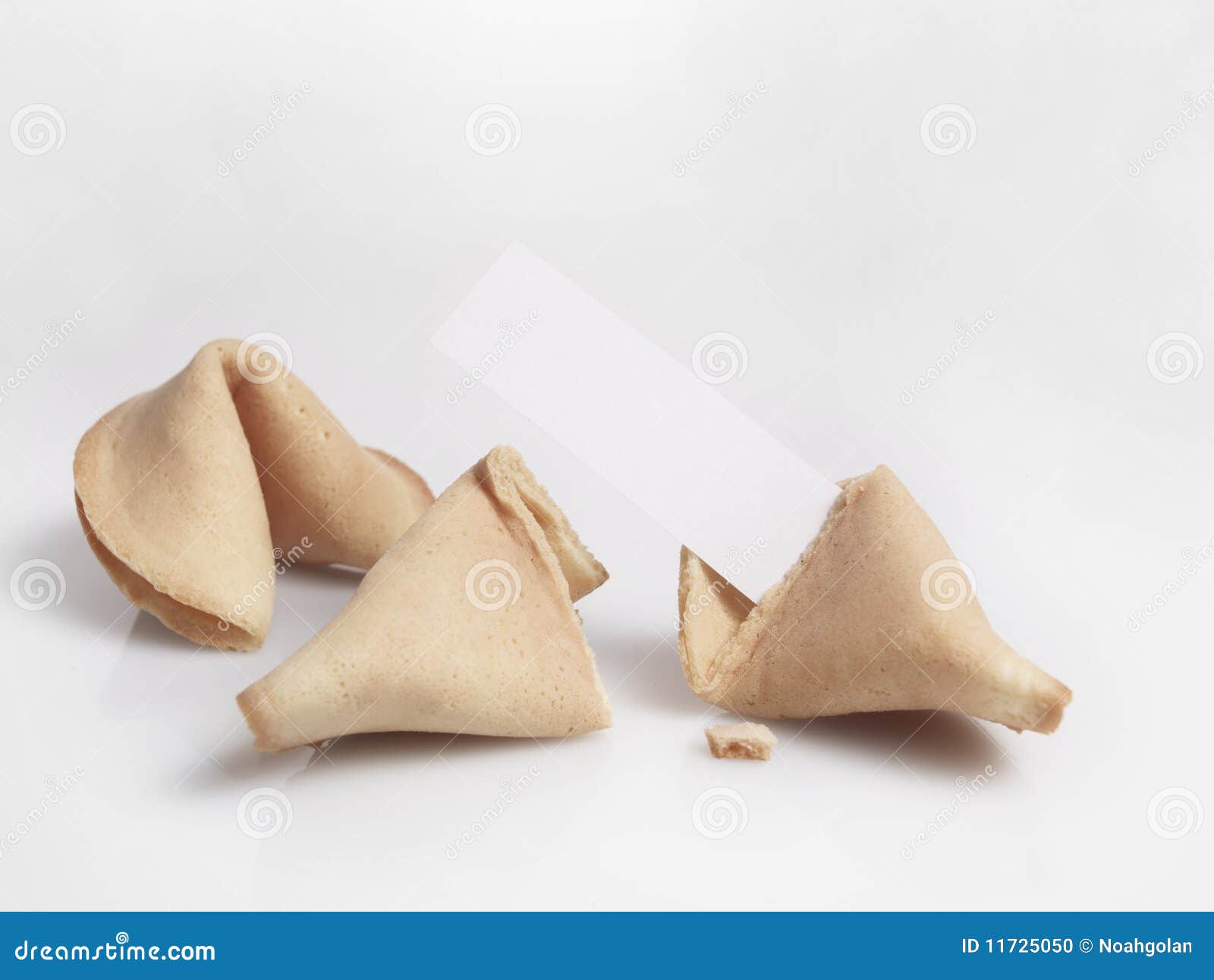 Fortune cookies stock photo. Image of cookies, fortune - 11725050