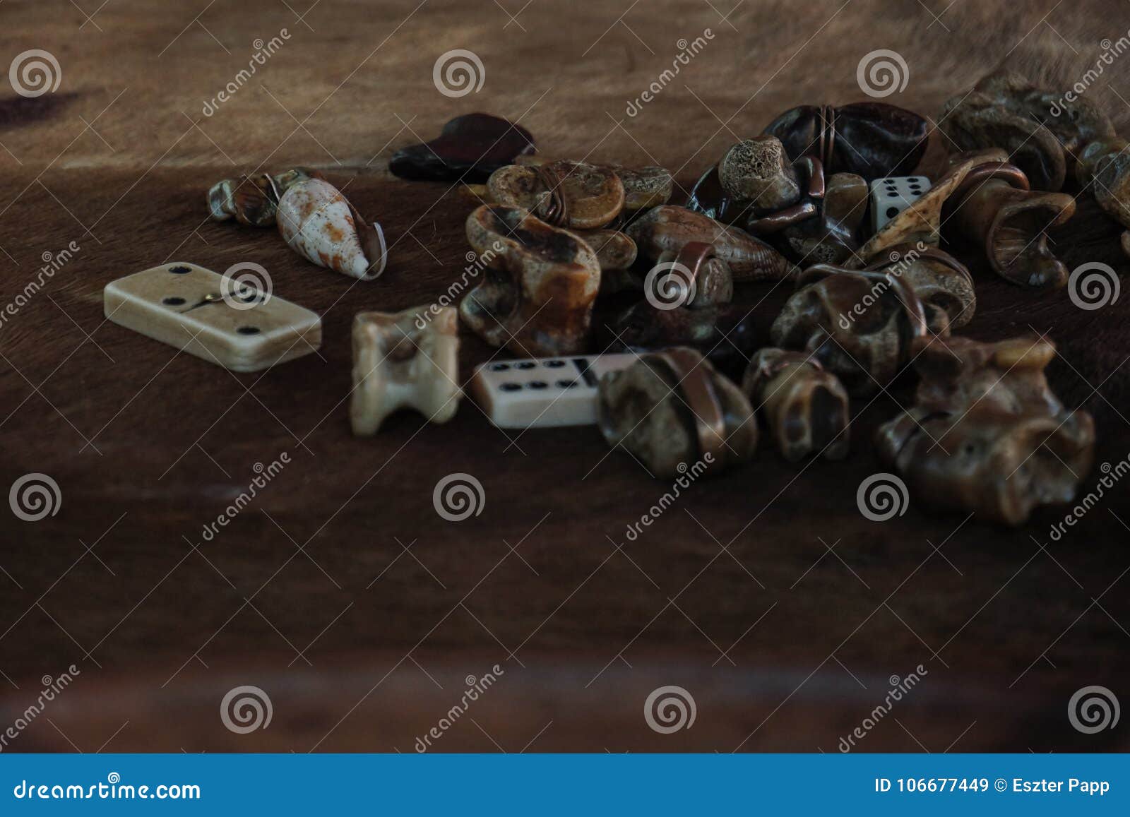 Fortune telling bones stock image. Image of fortune - 106677449