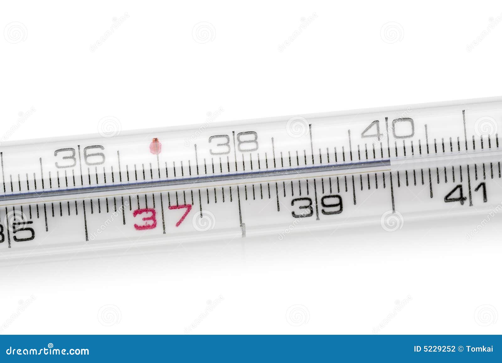 Forty Degrees stock photo. Image of degree, medical, lone - 5229252
