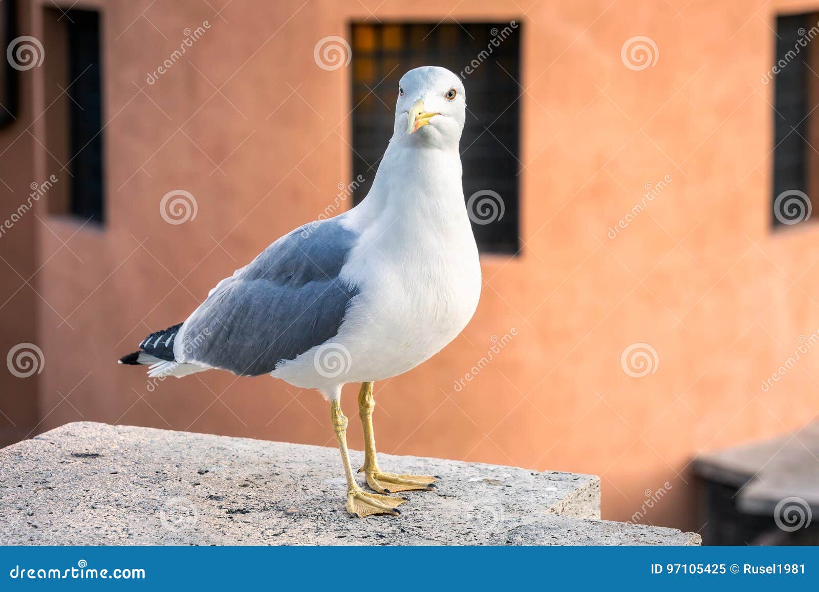 Forum of Caesar in Rome stock image. Image of destination - 97105425