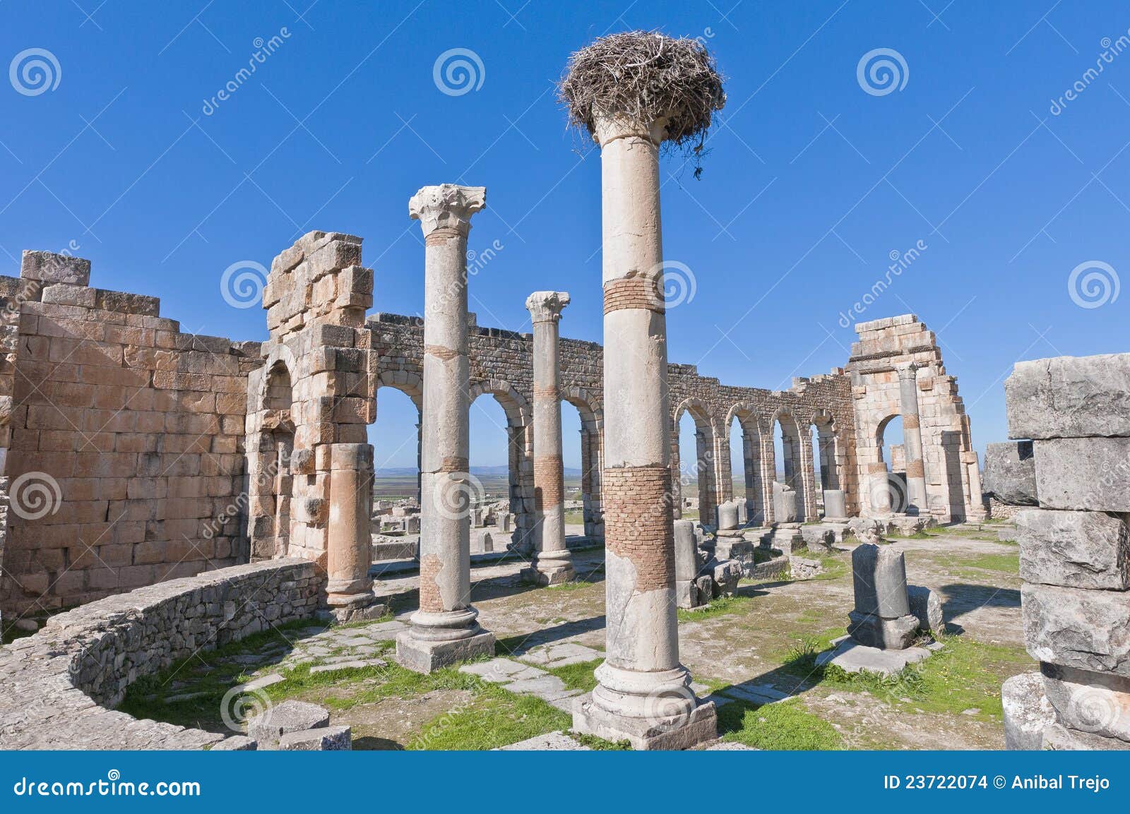 Forum Columns at Volubilis, Morocco Stock Photo - Image of history ...