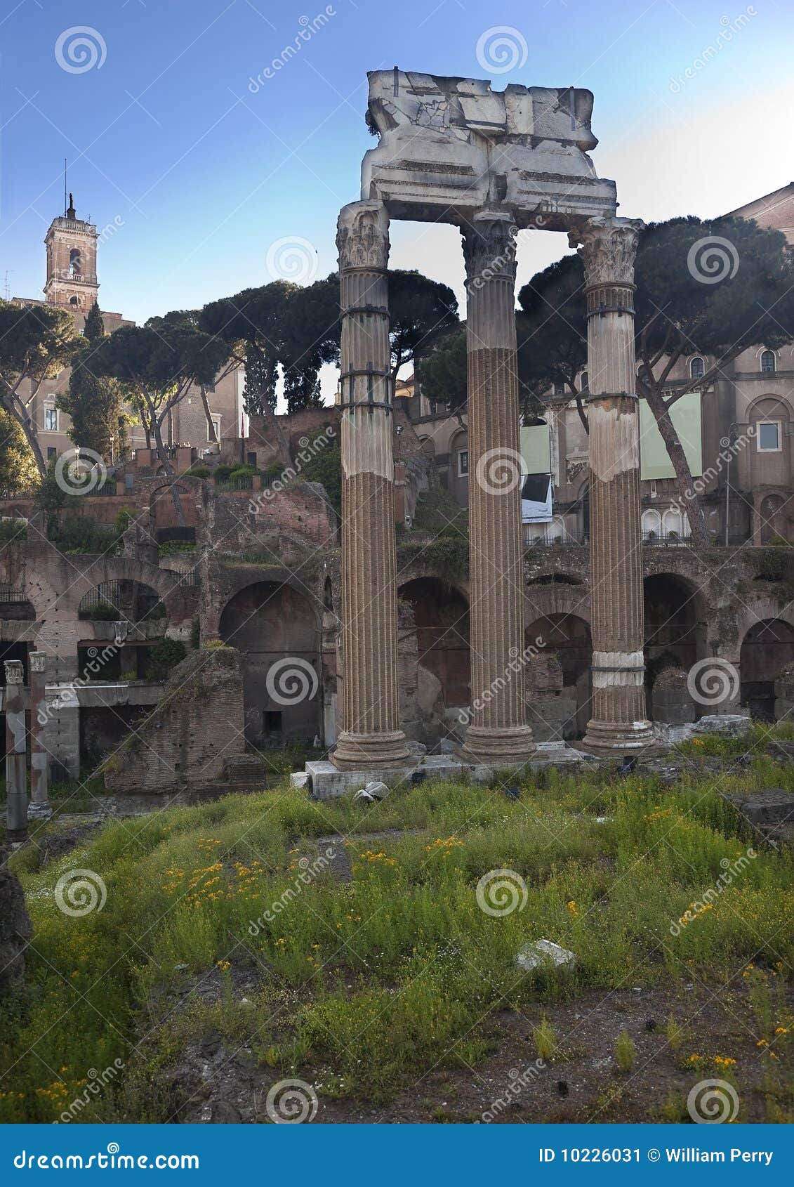 Forum of Julius Casesar Spring Flowers Rome Italy Stock Image - Image ...