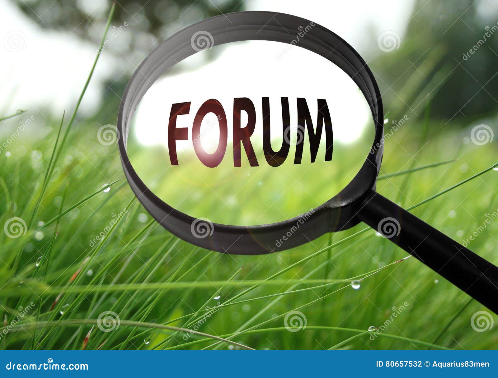 Forum stock photo. Image of information, media, blog - 80657532