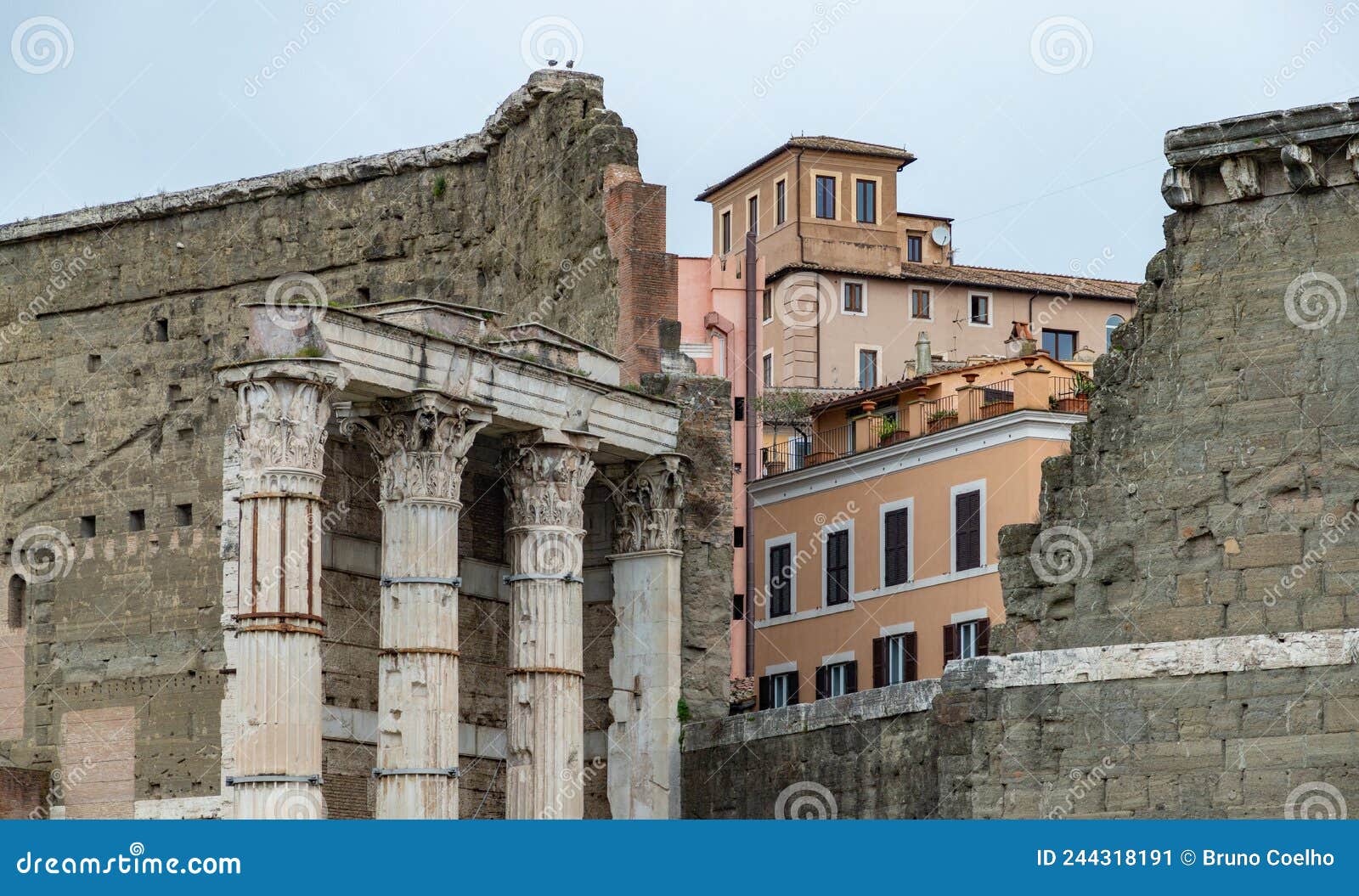 Forum of Nerva stock image. Image of italy, nerva, trees - 244318191
