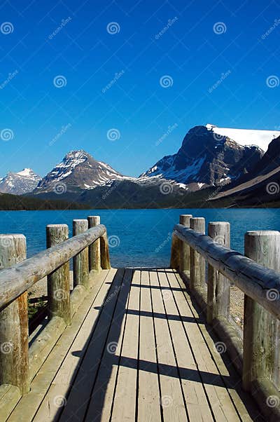 Forward stock image. Image of path, tree, view, plunge - 953561