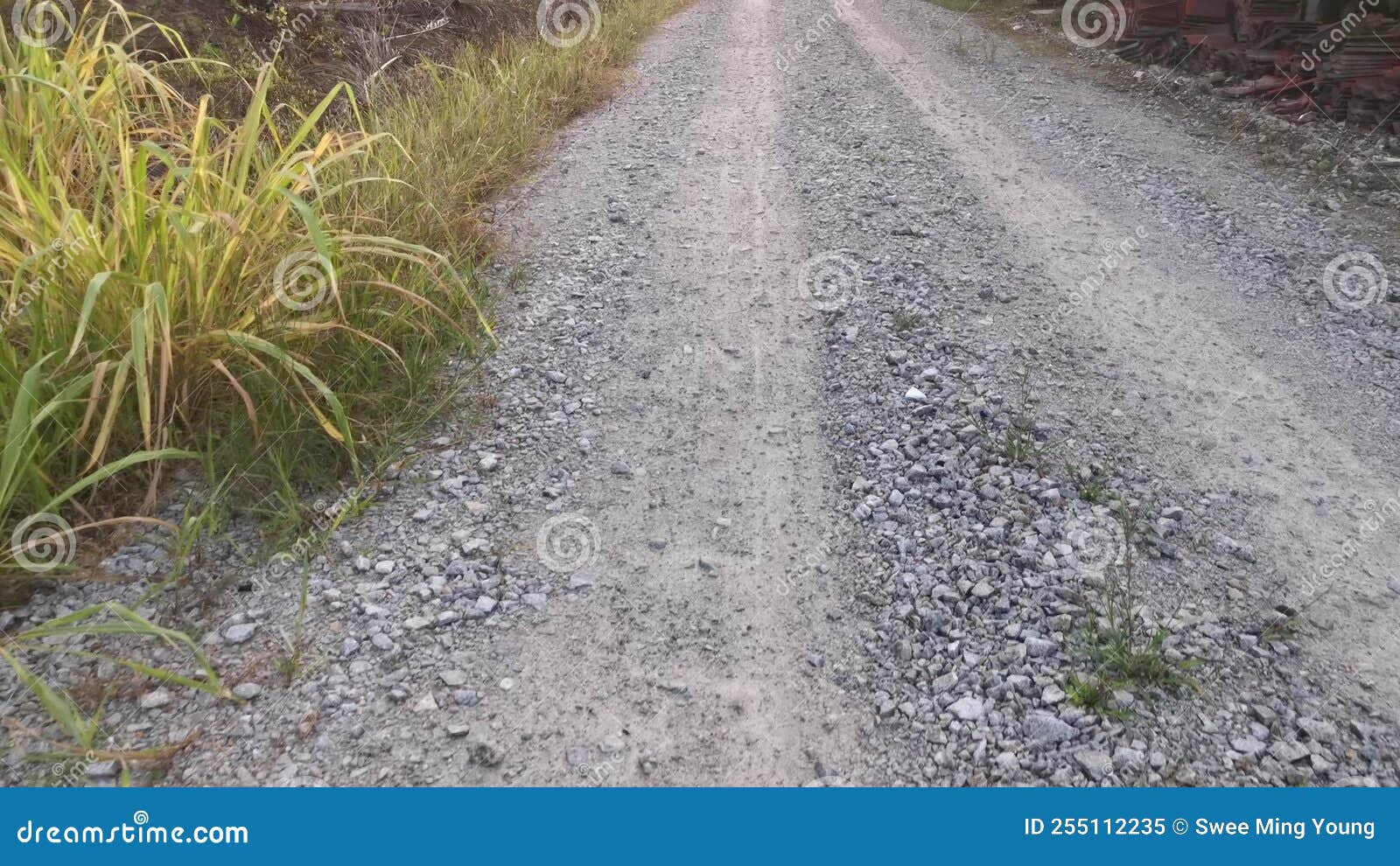 The Forward Motion Movement in the Rural Countryside Road Pathway ...
