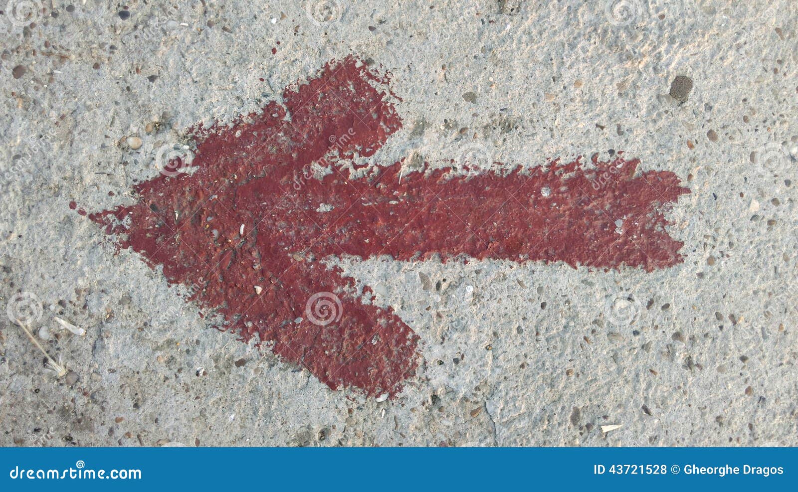 Forward sign stock photo. Image of sign, asphalt, forward - 43721528