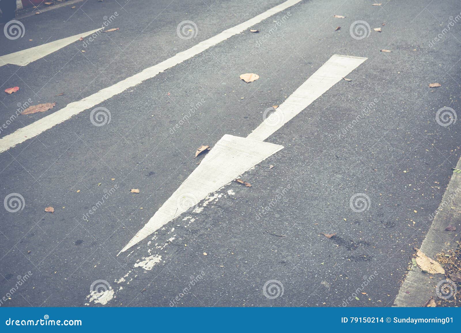 Forward Signs on the Road Forward and Right Signs on the Road Stock ...