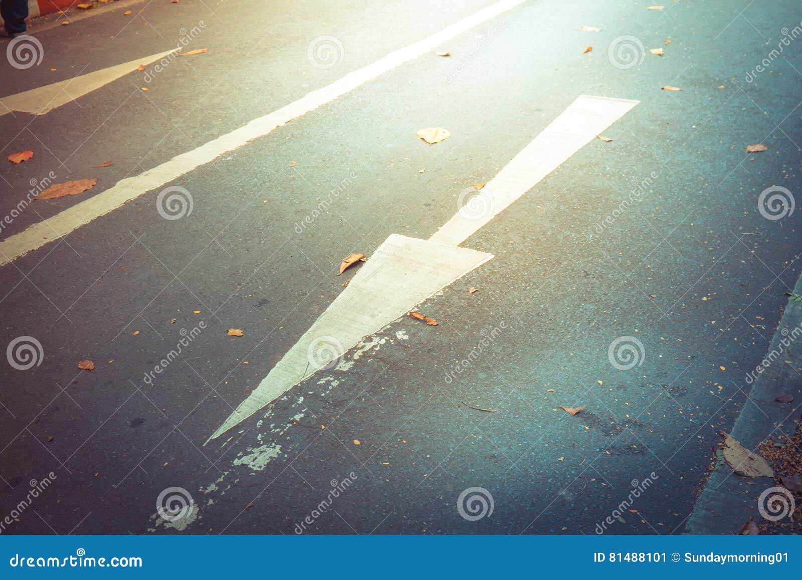 Forward Signs on the Road Forward and Right Signs on the Road Stock ...