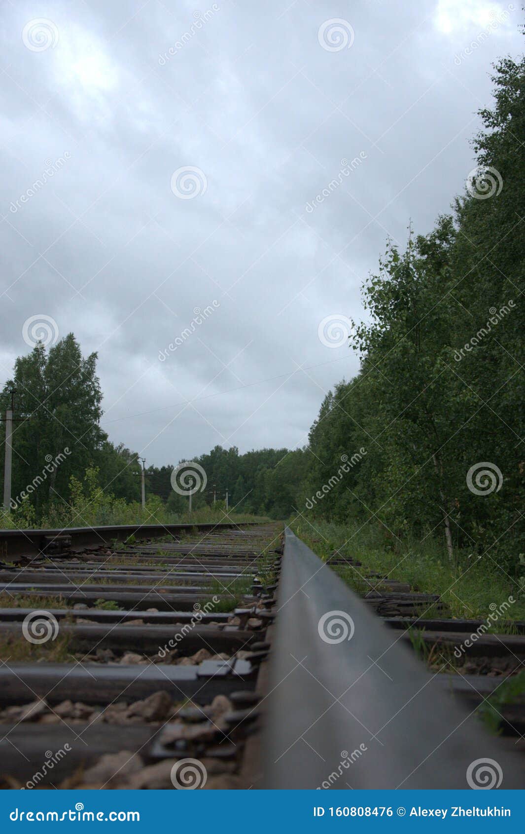 A Forward View from a Rail on Railway Tracks Running through the Forest ...