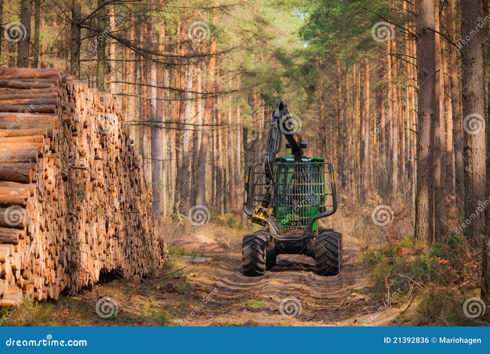 Forwarder stock photo. Image of crop, industry, forestry - 21392836
