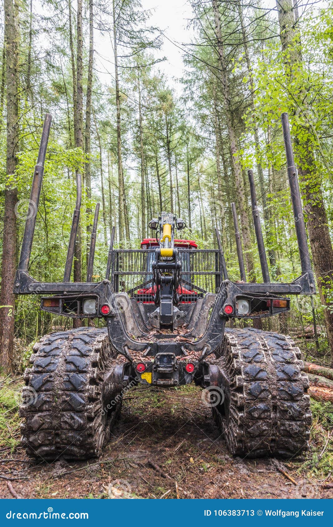 Forwarder in a forest stock image. Image of tree, transport - 106383713