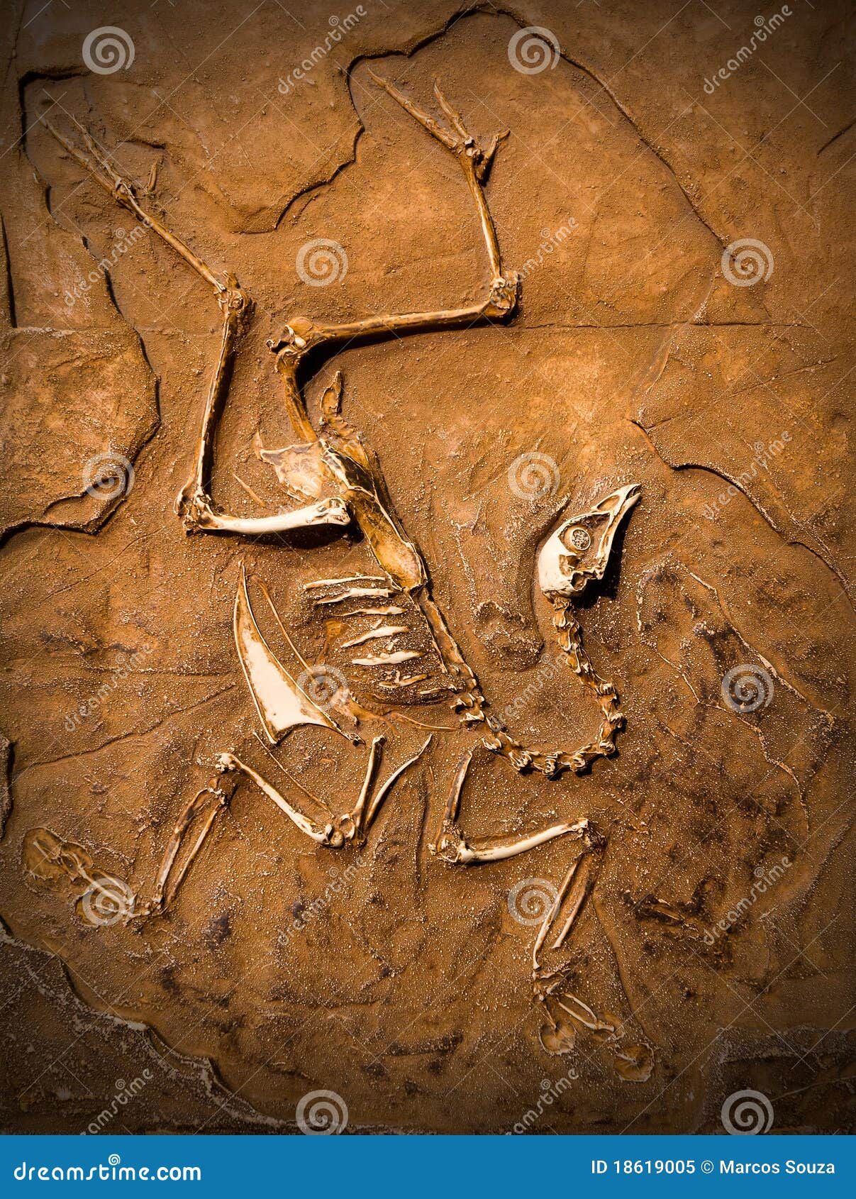 Fossil Relic Fish. Imprint On The Stone Stock Photo | CartoonDealer.com ...