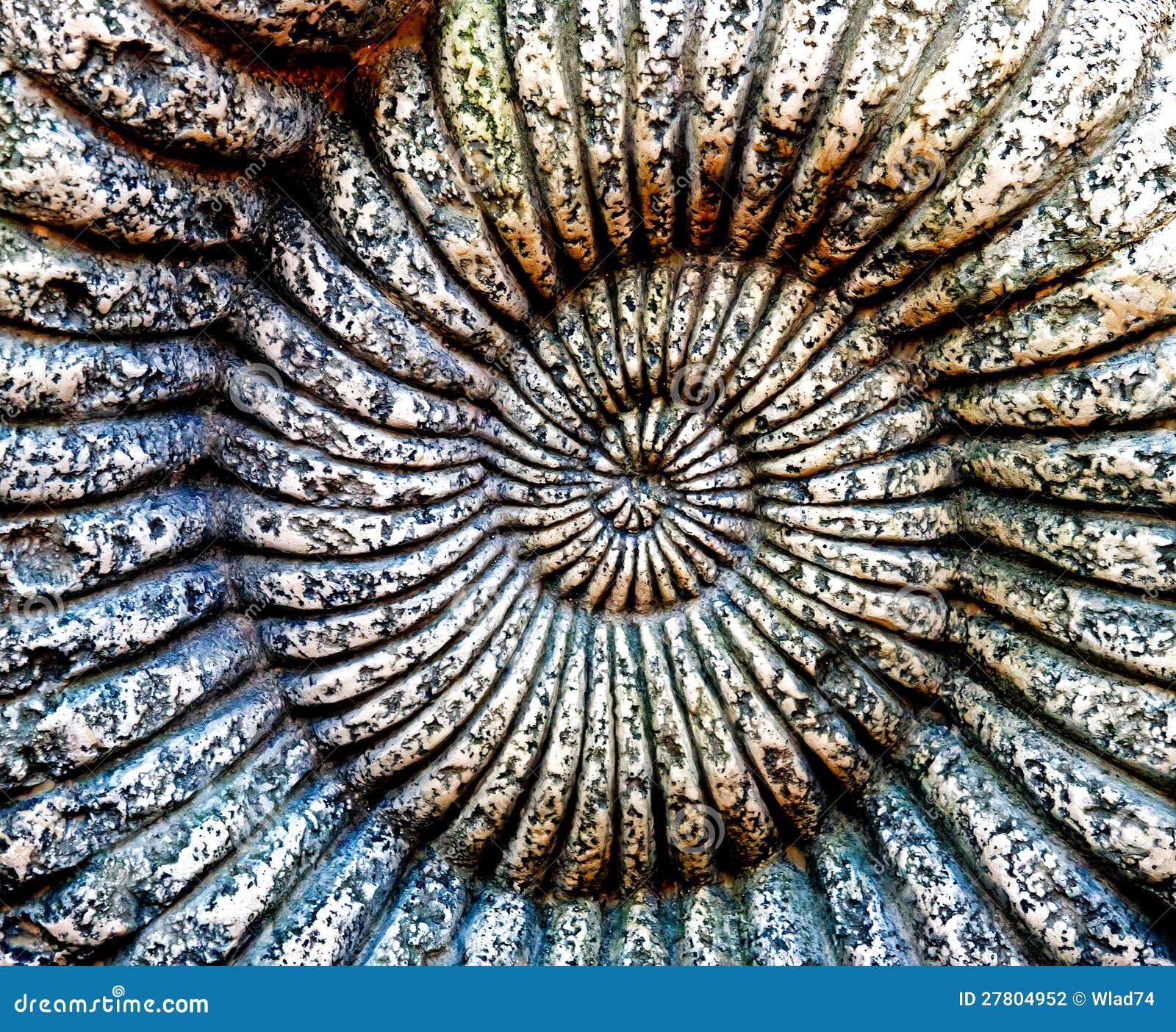 Fossil of Ammonite in a Stone Stock Photo - Image of black, white: 27804952