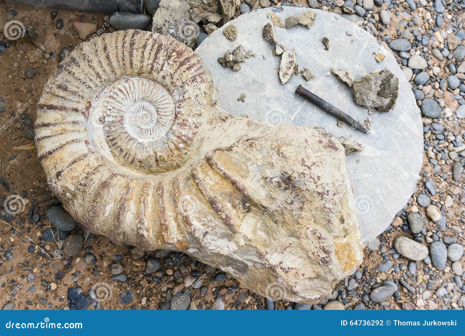 Fossil stock photo. Image of factory, shadow, graded - 64736292
