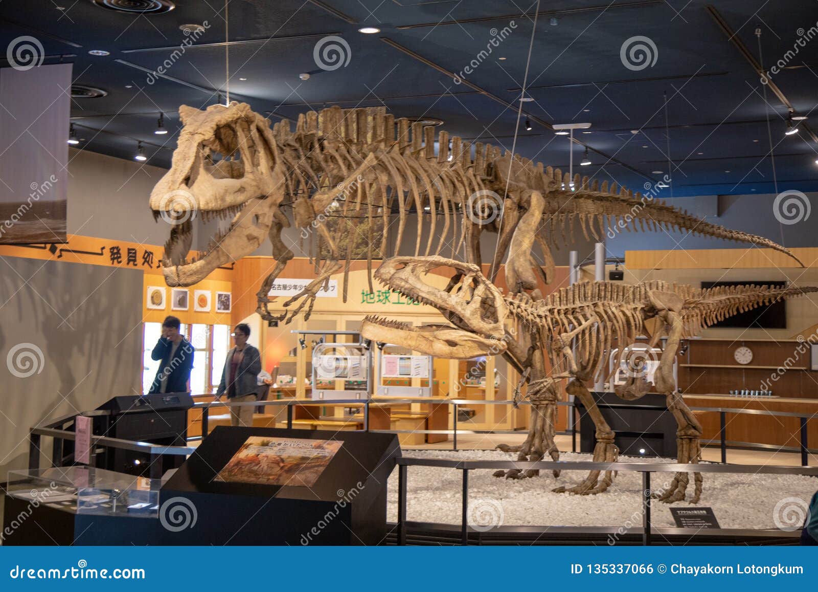 Fossil Dinosaur in Japan Museum Editorial Photo - Image of discovering ... Fossil Dinosaur in Japan Museum Editorial Photo - Image of discovering ...