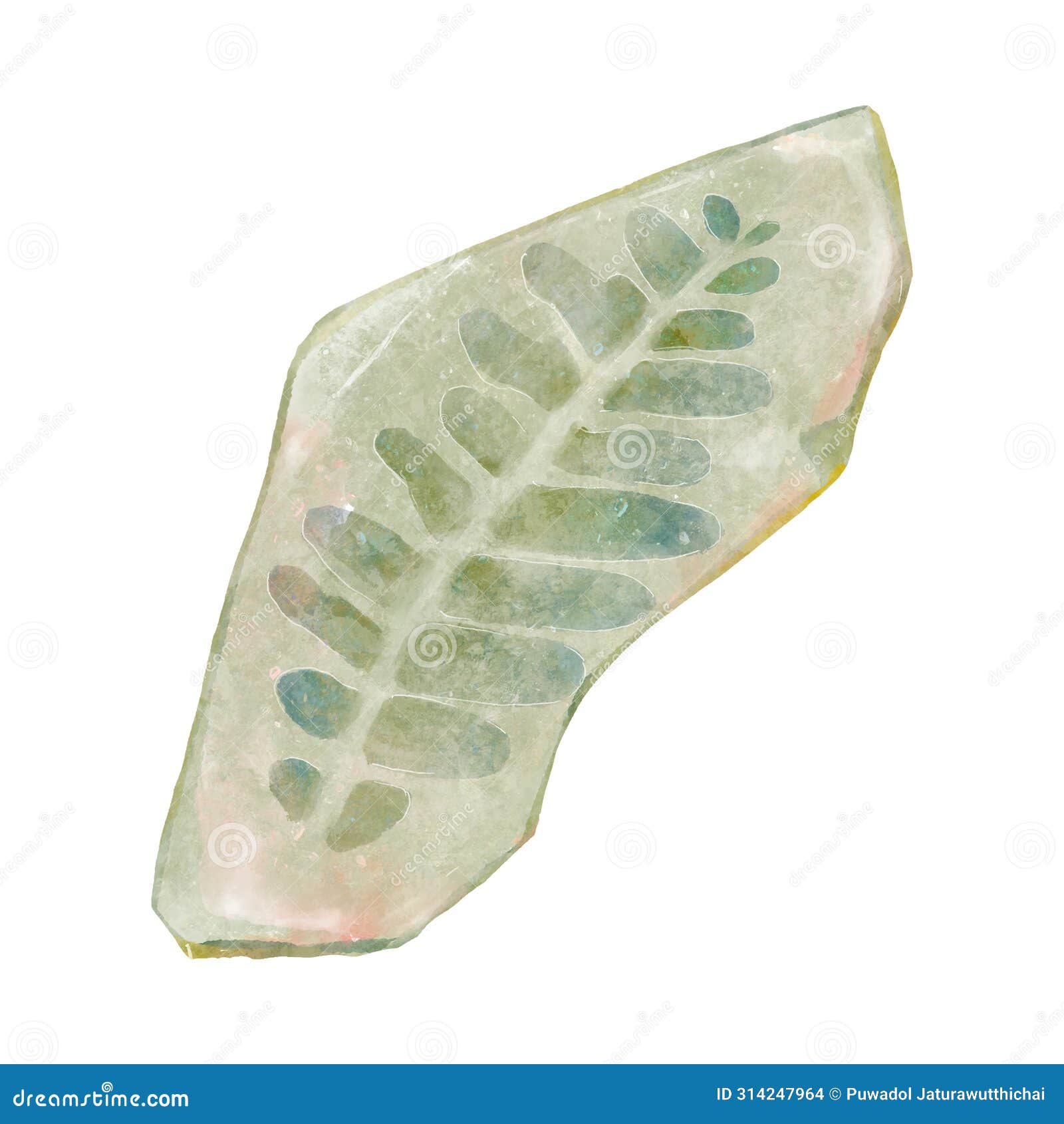Fossil Of Plant In Rock . Watercolor Paint Design . Vector ...