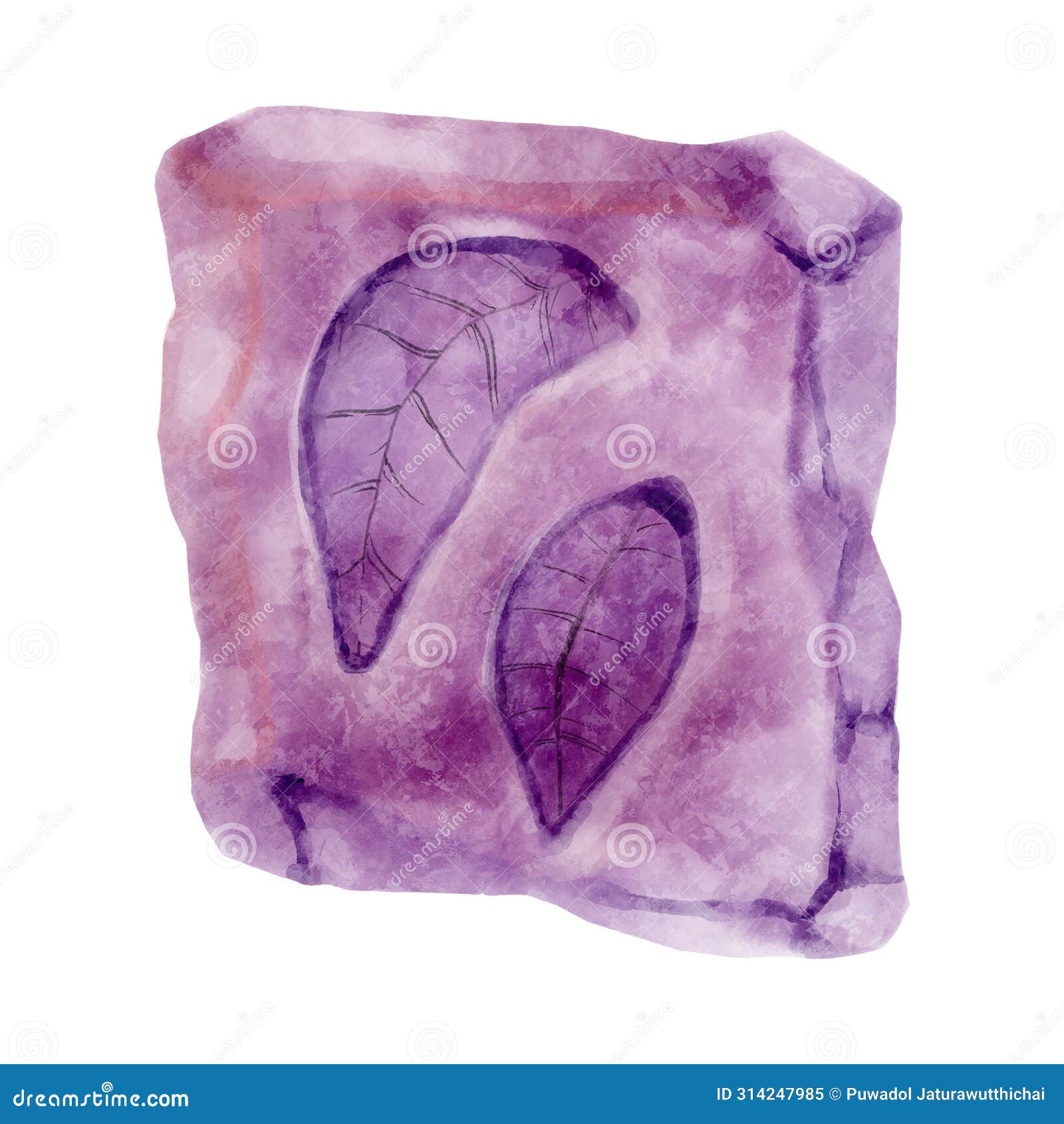 Fossil Of Plant In Rock . Watercolor Paint Design . Vector ...